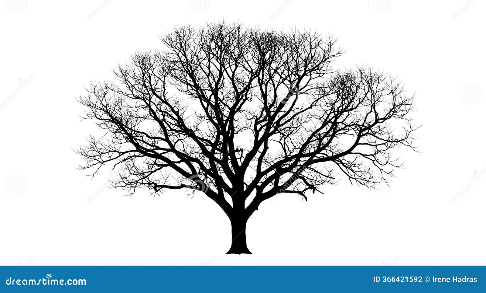 Complex Network Of Intricate Circuit Lines, Components. Abstract Tech ...