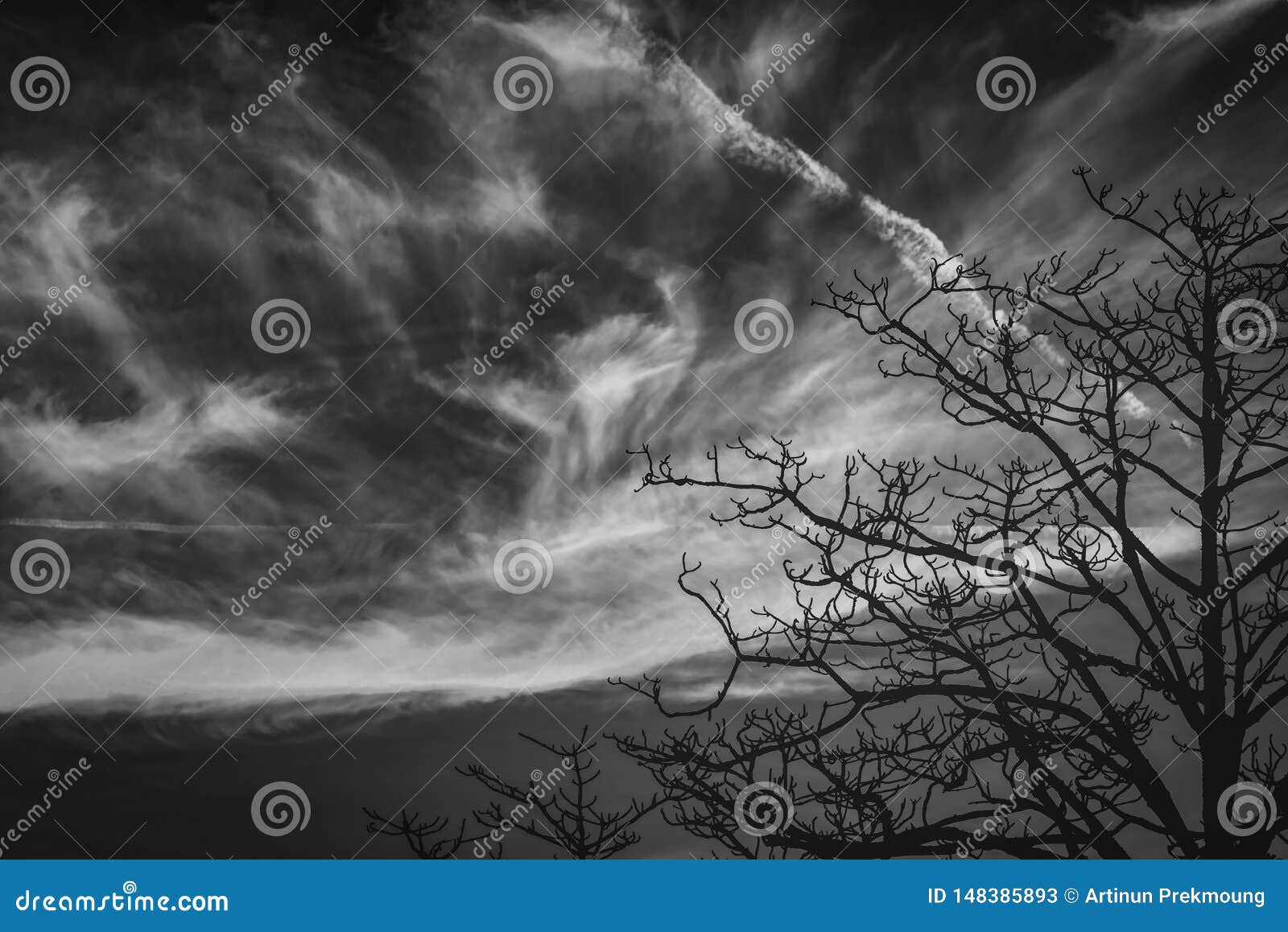 Silhouette Leafless Tree. Silhouette Dead Tree on Dark Dramatic Sky and ...