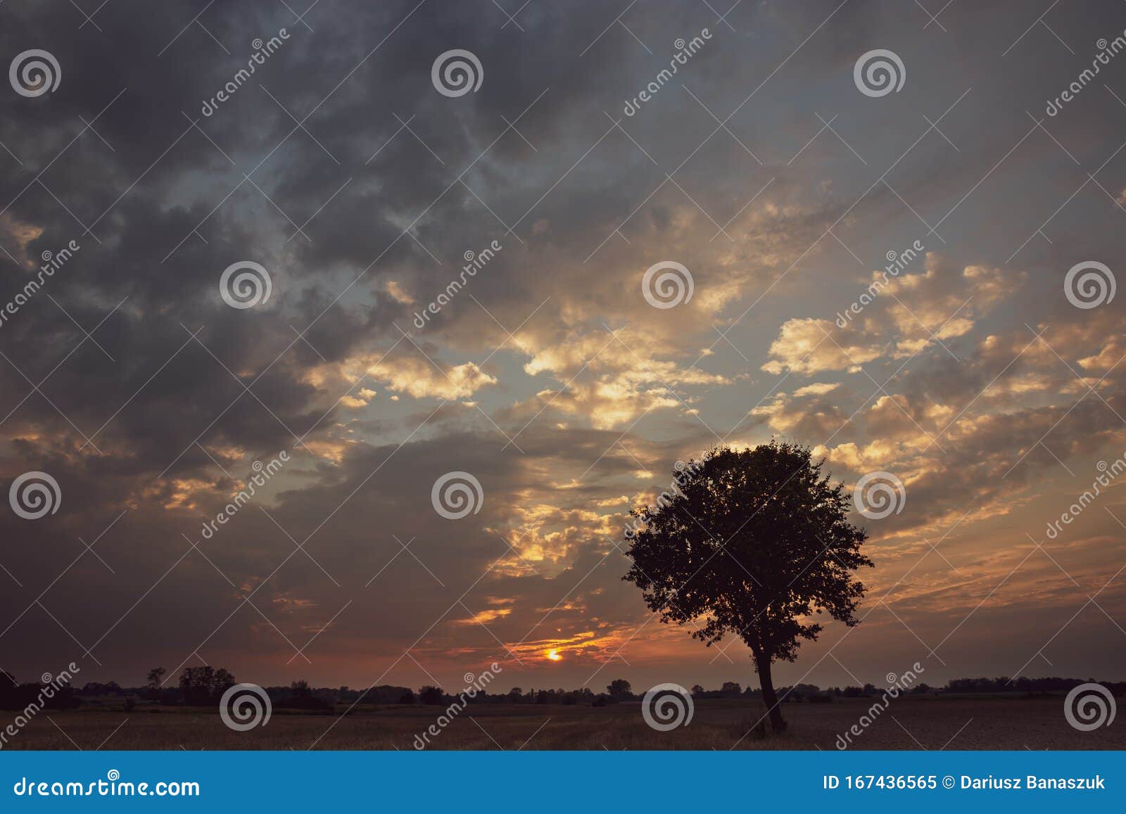 Silhouette of a Lone Tree and Clouds during Sunset Stock Image - Image ...