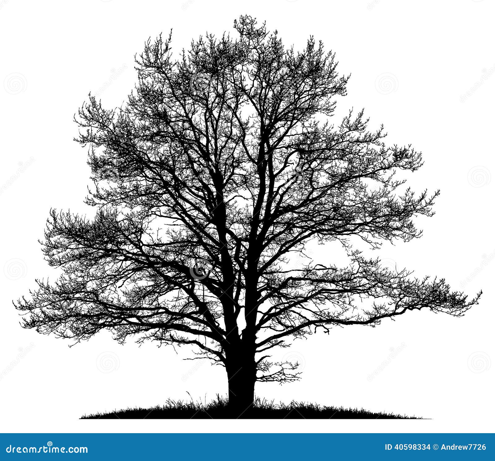 Silhouette of a lone tree stock vector. Illustration of isolated - 40598334