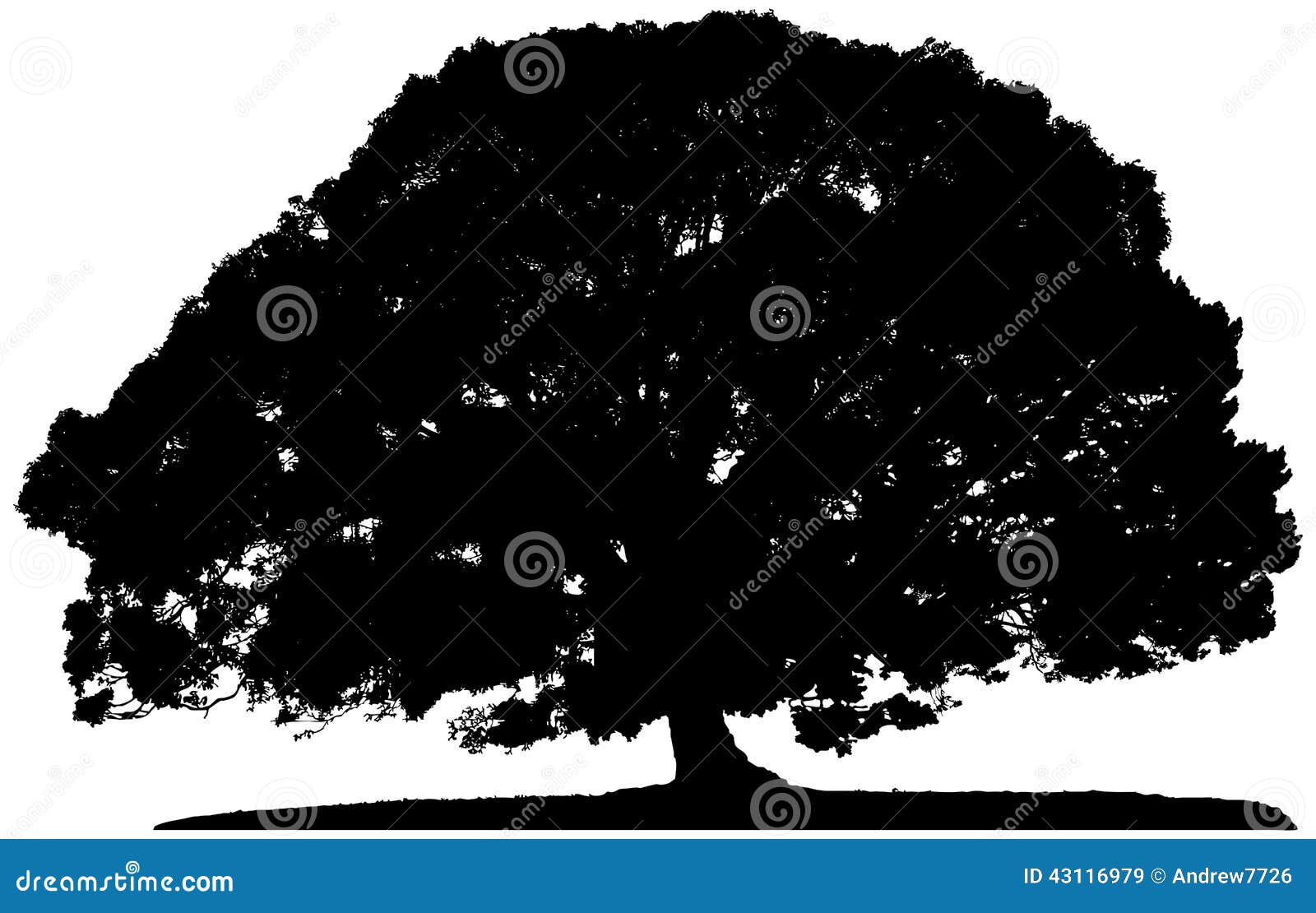 Lone Tree Standing Proudly On Its Branches Reaching Out In All ...