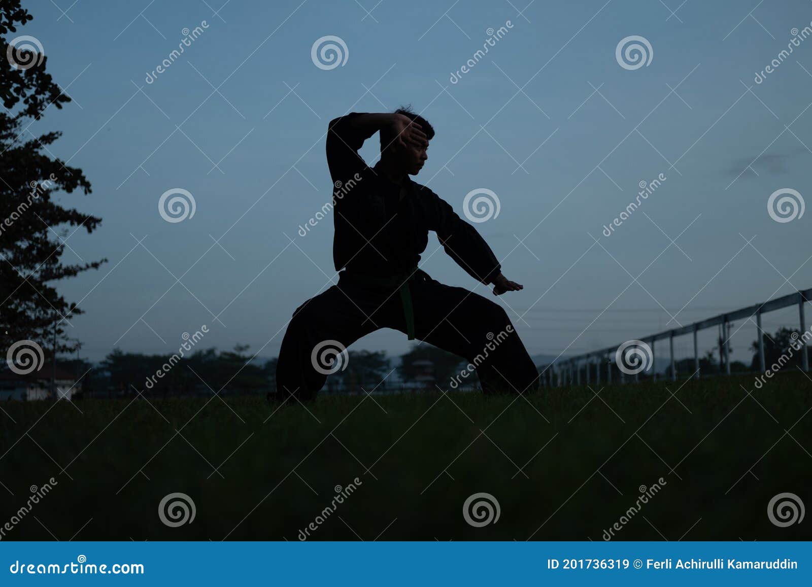 Silhouette of Male Warrior with Low Stance Movement Stock Image - Image ...