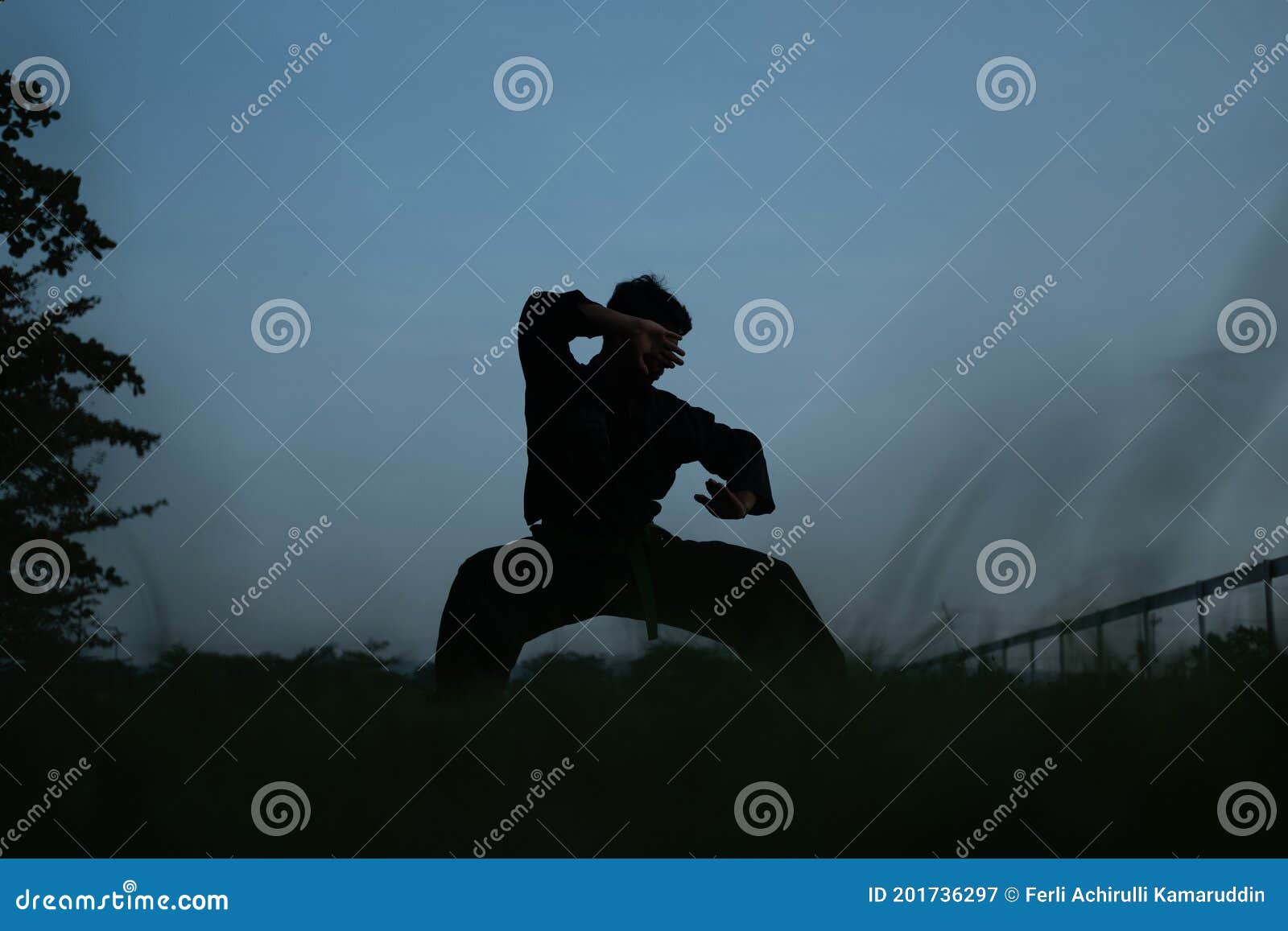 Silhouette of Male Warrior with Side Stance Movement Stock Image ...