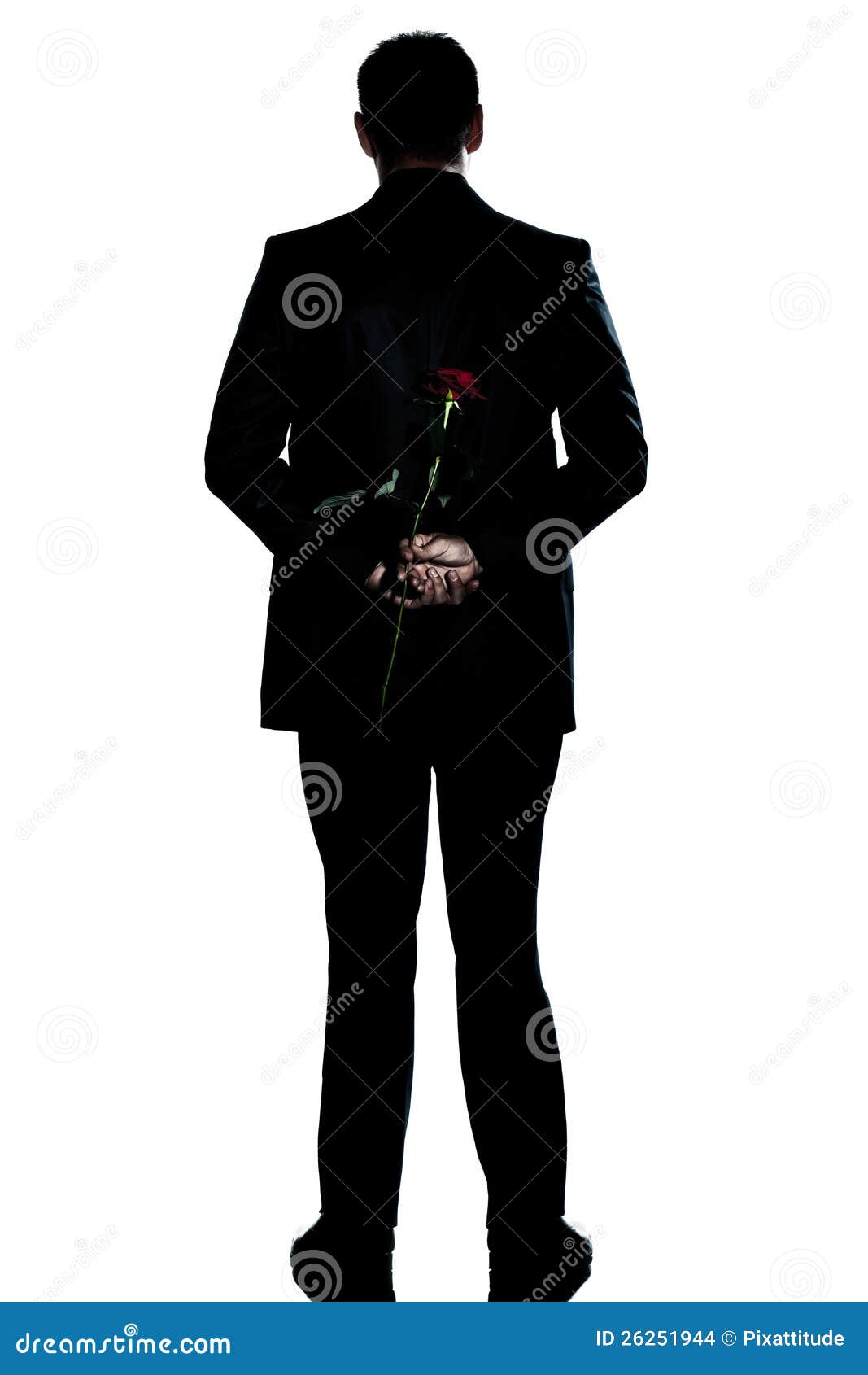 Silhouette Man Back Full Length Hold Rose Flower Stock Photo - Image of ...