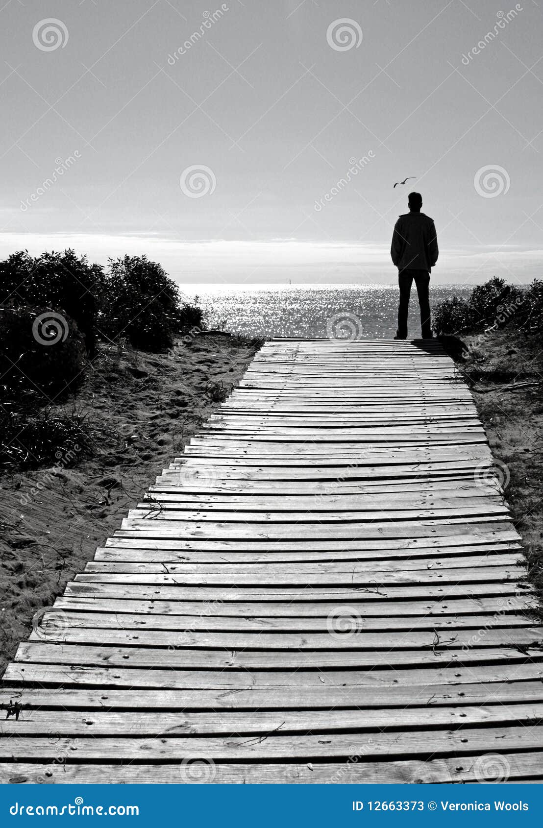 Silhouette Man on Beach Path Stock Image - Image of dreaming, alone ...