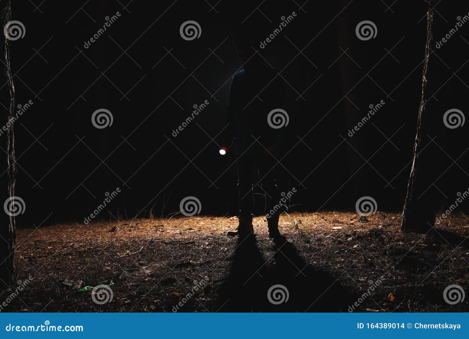 Silhouette of Man with Bright Flashlight in Forest Stock Photo - Image ...