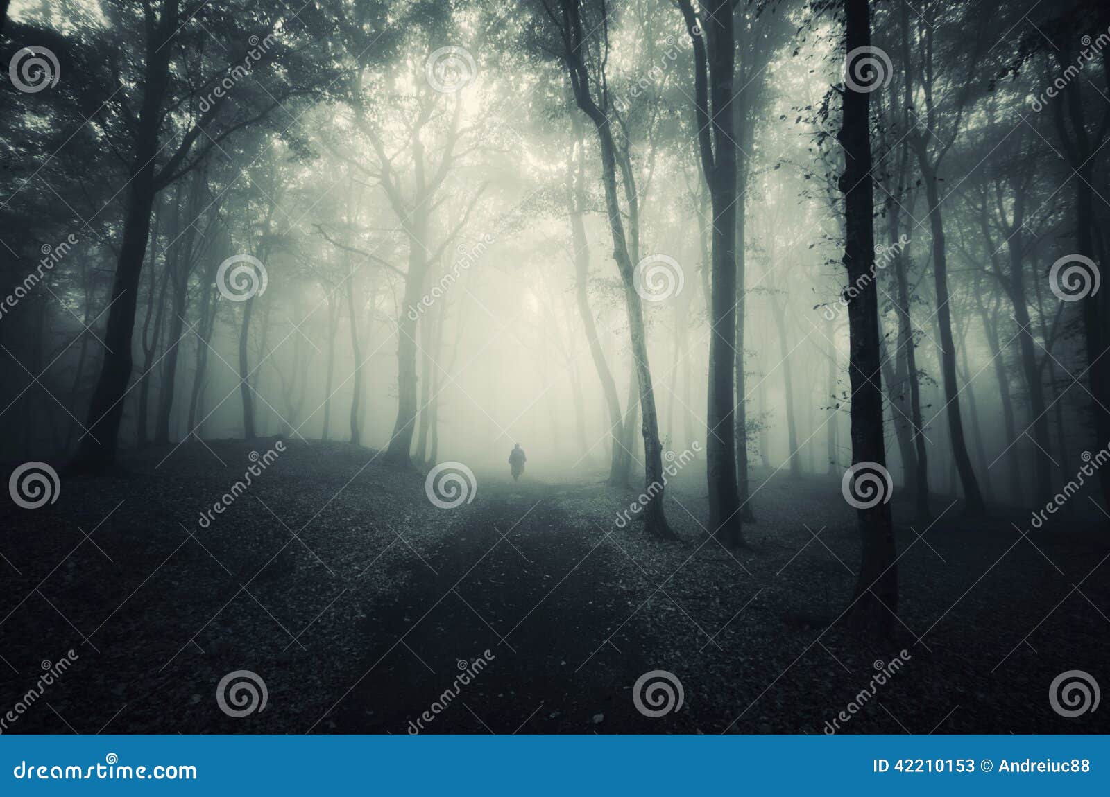 Silhouette on Man in Dark Forest with Fog Stock Image - Image of forest ...