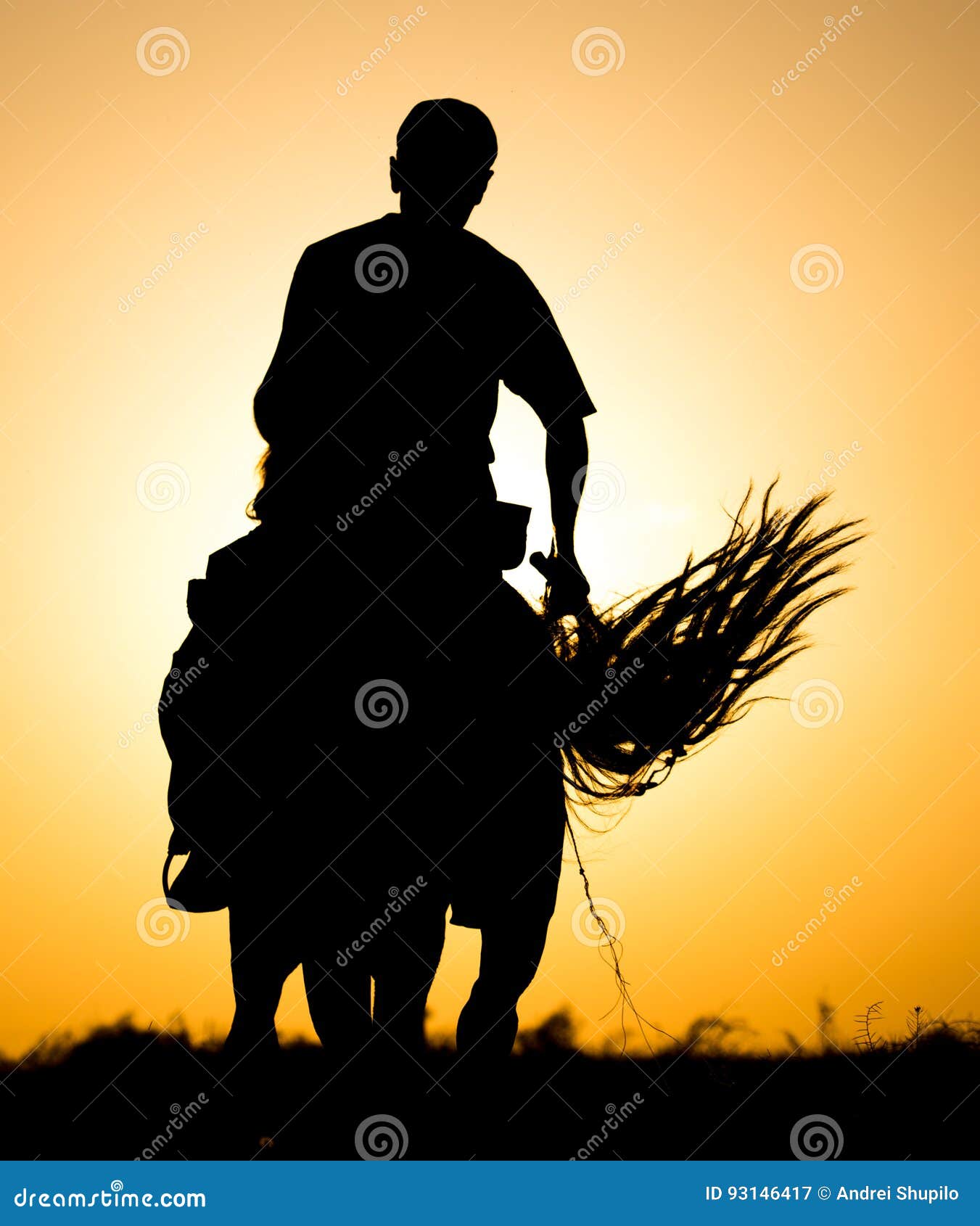 Silhouette Man Horse Stock Images - Download 1,182 Royalty Free Photos