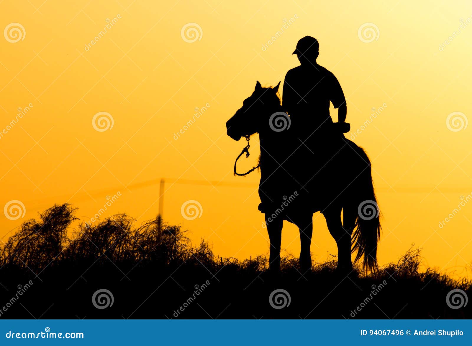 Silhouette of a Man on a Horse at Sunset Stock Photo - Image of riding ...