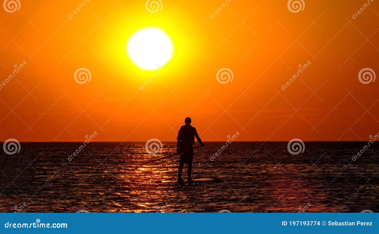 Silhouette of Man in the Sea at Sunset Stock Photo - Image of landscape ...