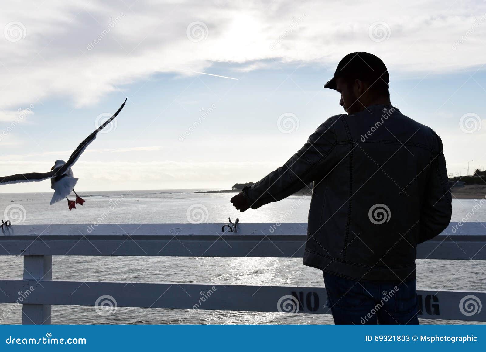 Silhouette of a Man and a Seagull Stock Image - Image of outdoor ...