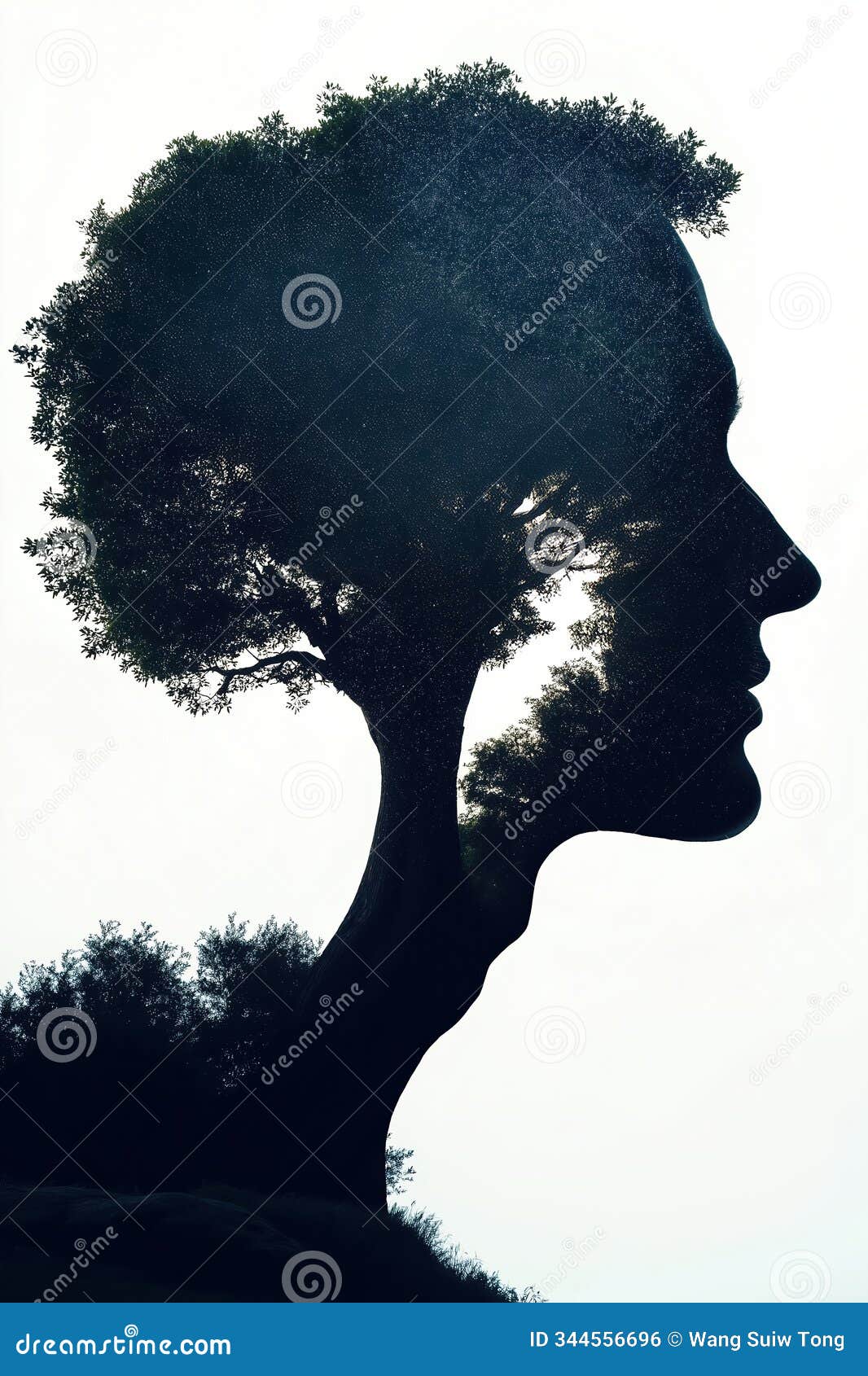 Silhouette of a Man Transforming into a Tree Stock Photo - Image of ...