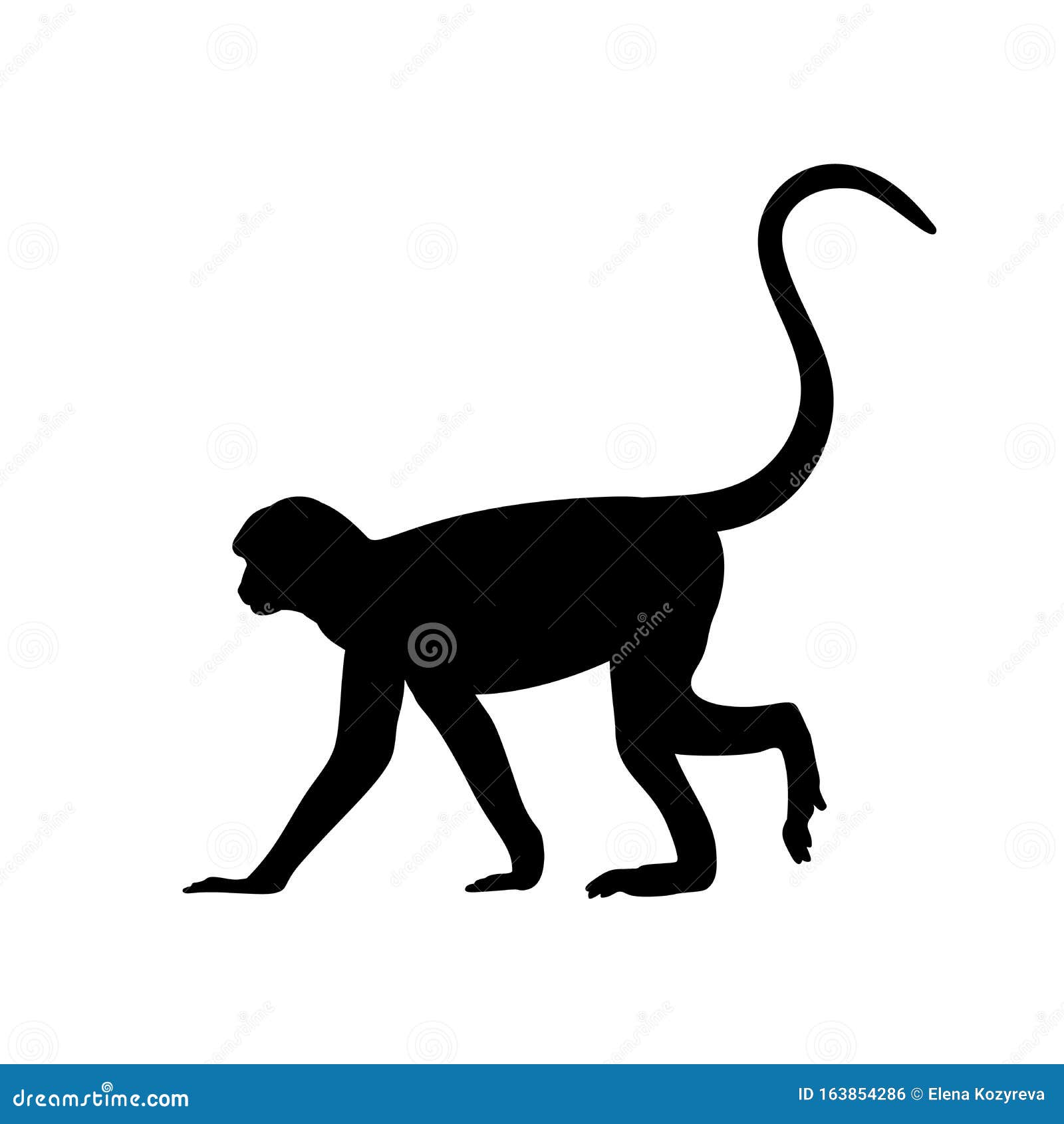 Silhouette of Monkey. Animal Genus of Primates Stock Illustration ...