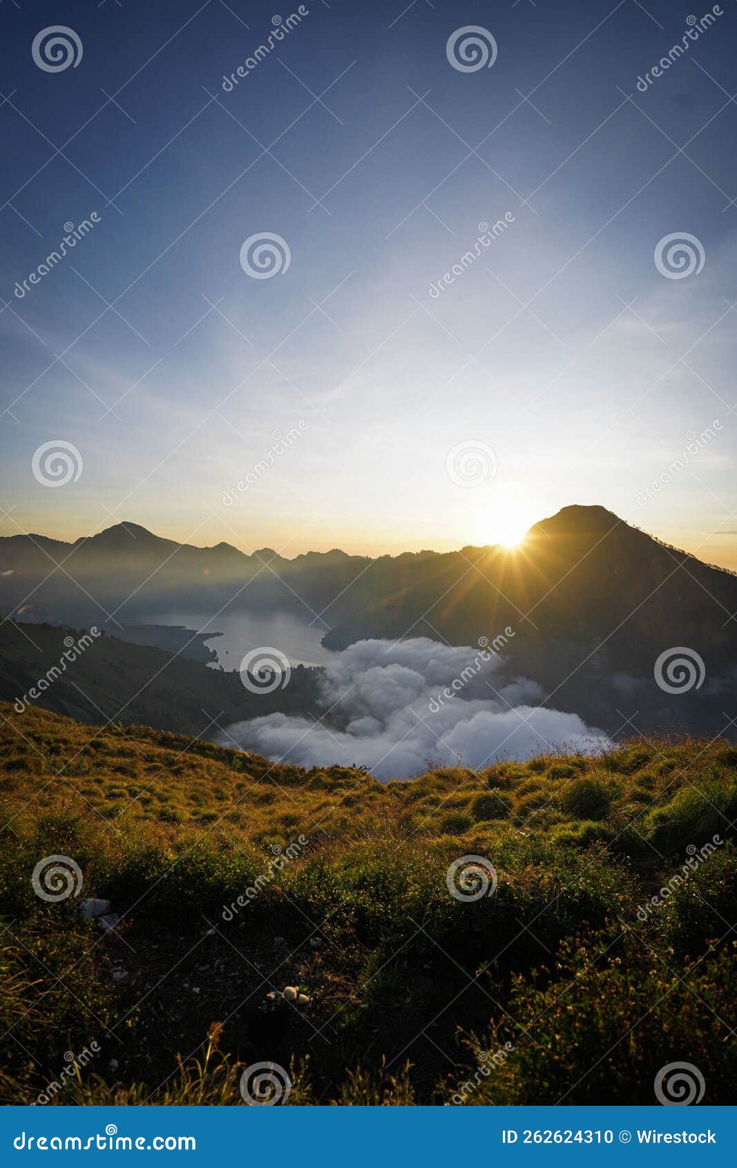 Silhouette of Mountains Surrounded by Dense Trees during Sunset Stock ...