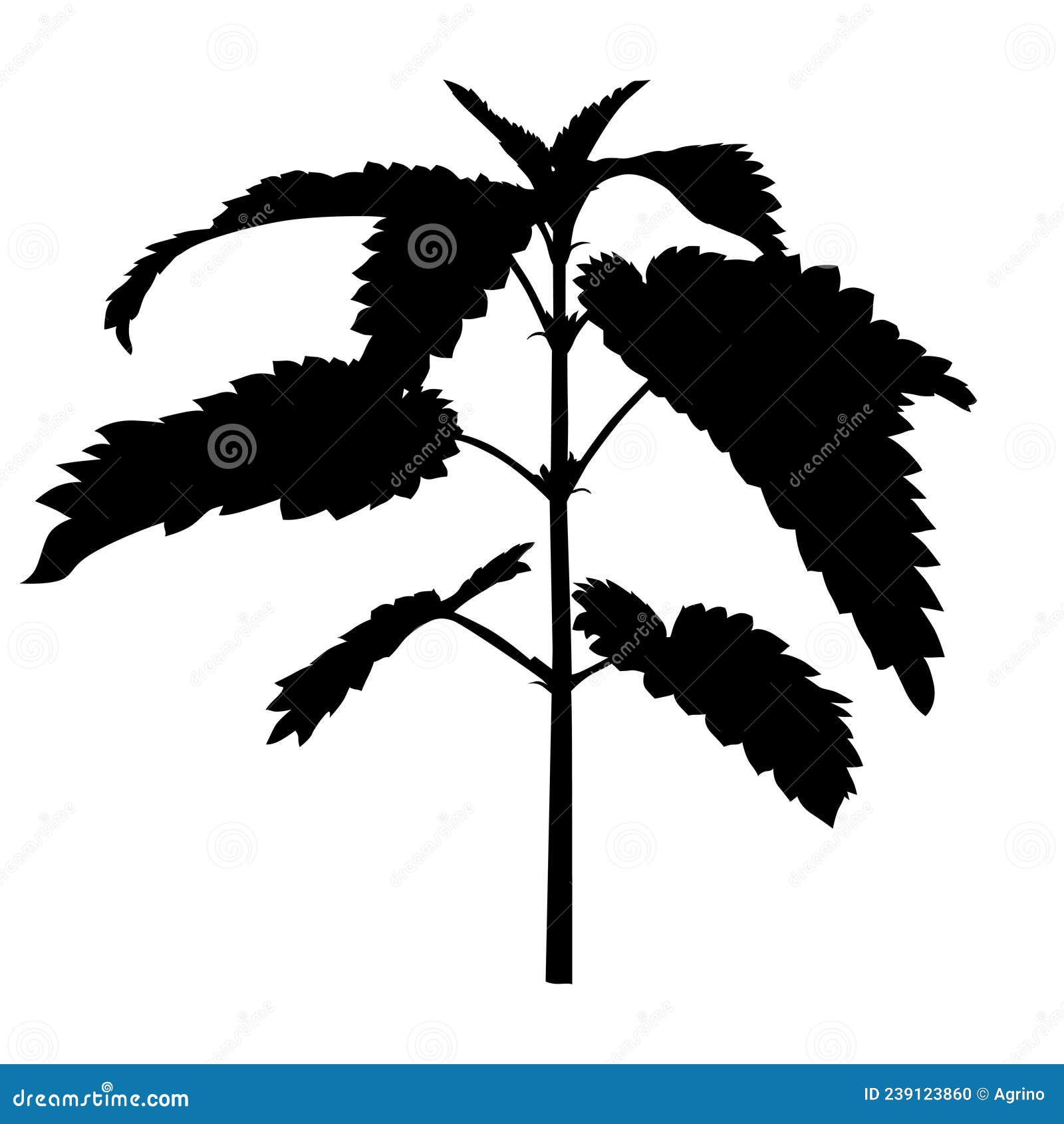 Nettle Plant. Isolated Nettle On White Background Vector Illustration ...