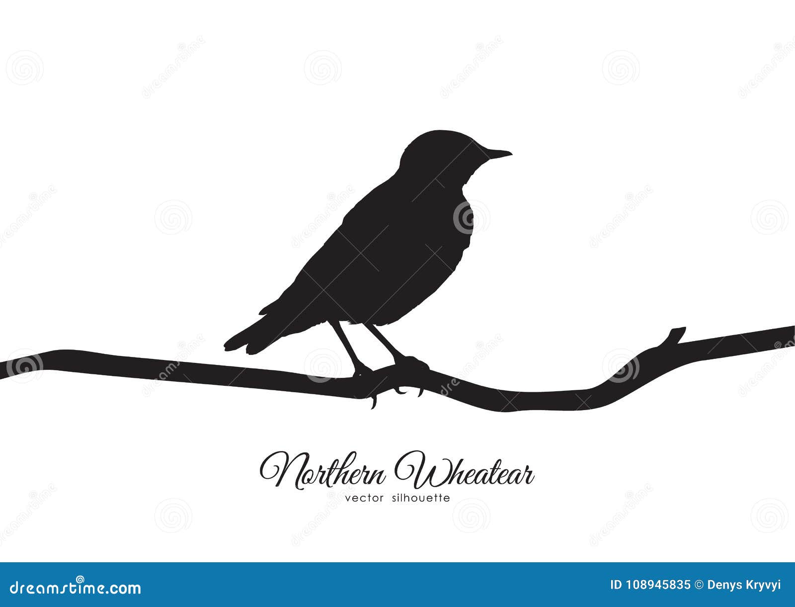 Silhouette of Northern Wheatear Sitting on a Dry Branch. Stock Vector ...
