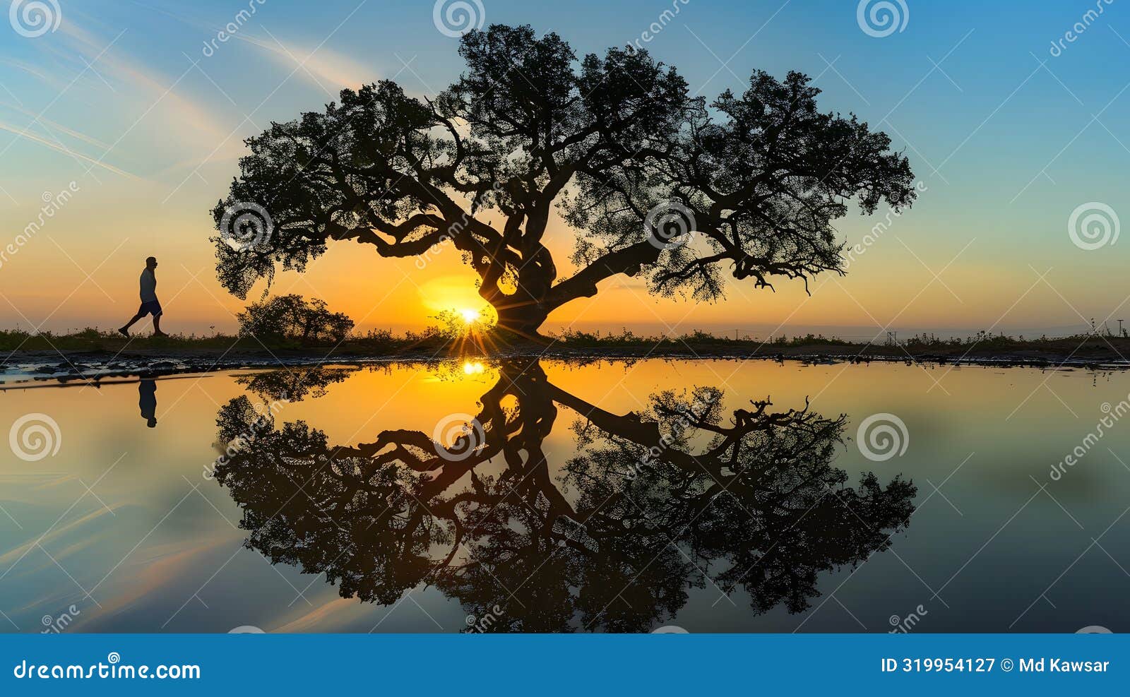 Silhouette of Oak Tree Shaped Like Sun at Sunset Stock Illustration ...