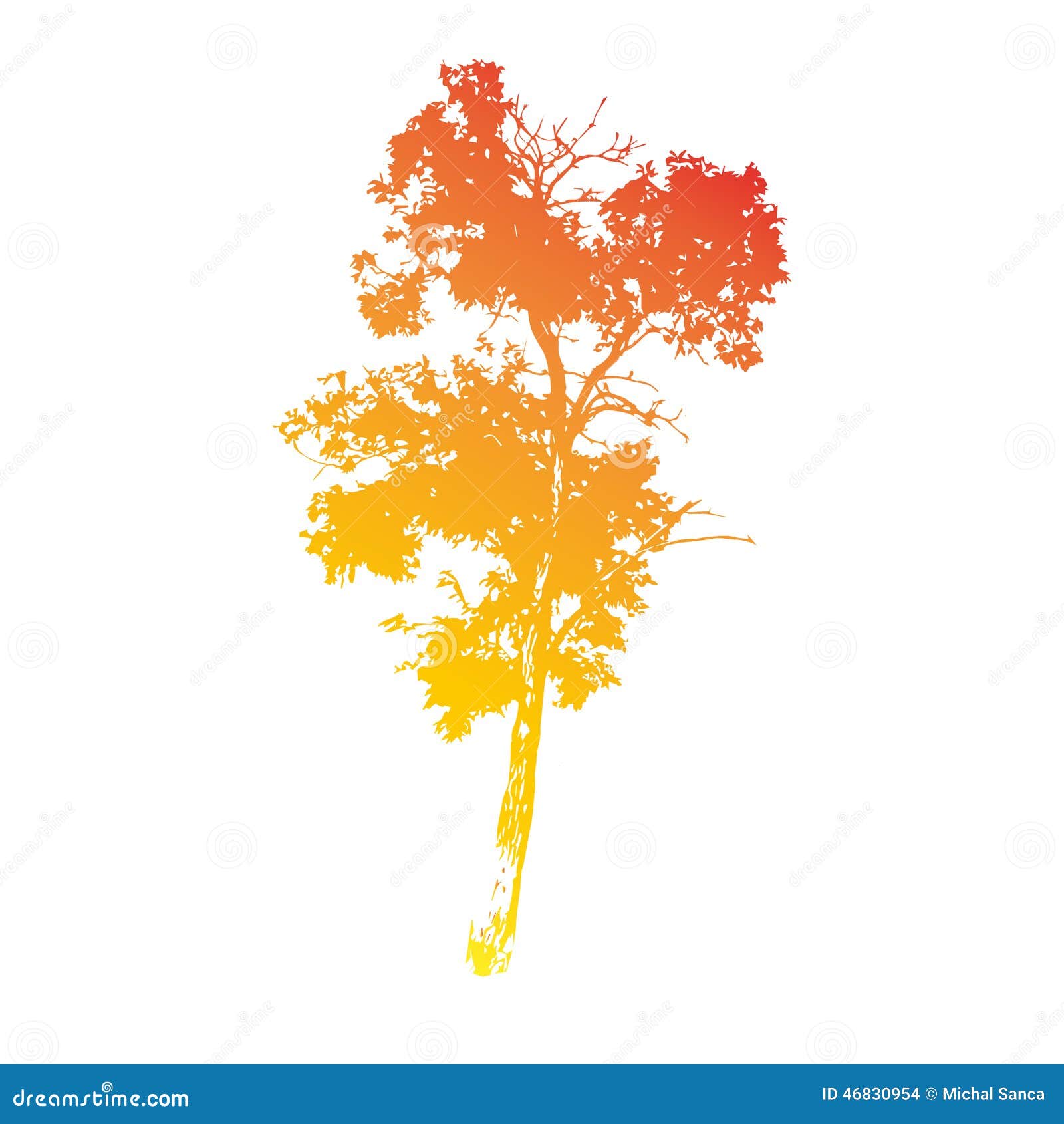 Silhouette of Old Deciduous Tall Tree Stock Vector - Illustration of ...