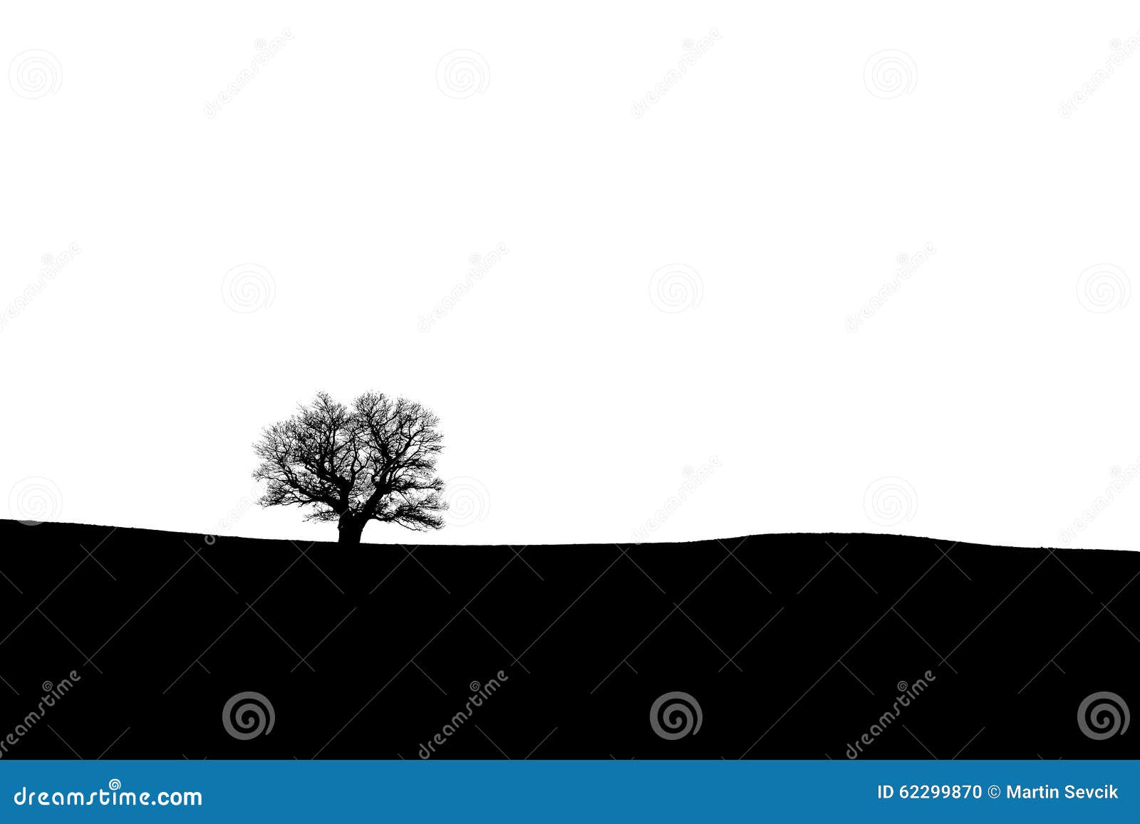 Silhouette of an Old Oak Tree on the Horizon Stock Photo - Image of ...
