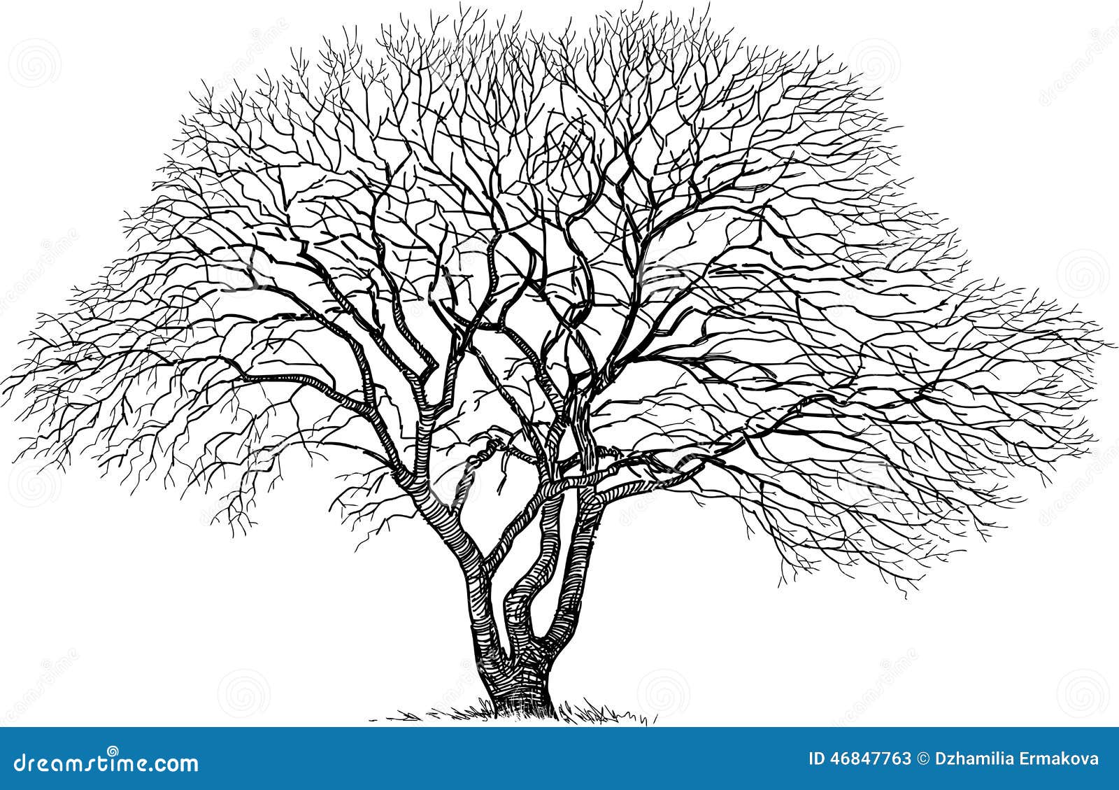 Silhouette of an old tree stock vector. Illustration of branchy - 46847763