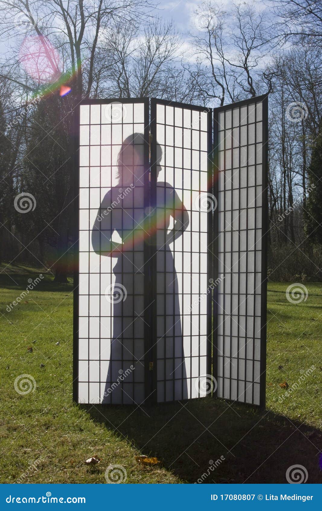 Silhouette on an Outdoor Screen Stock Image - Image of outdoors ...