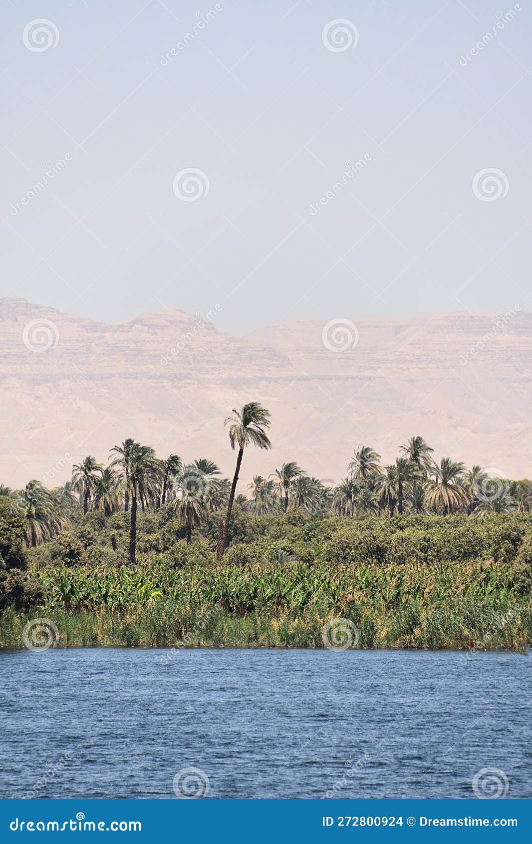 The Nile in Aswan, Egypt stock photo. Image of plain - 272800924