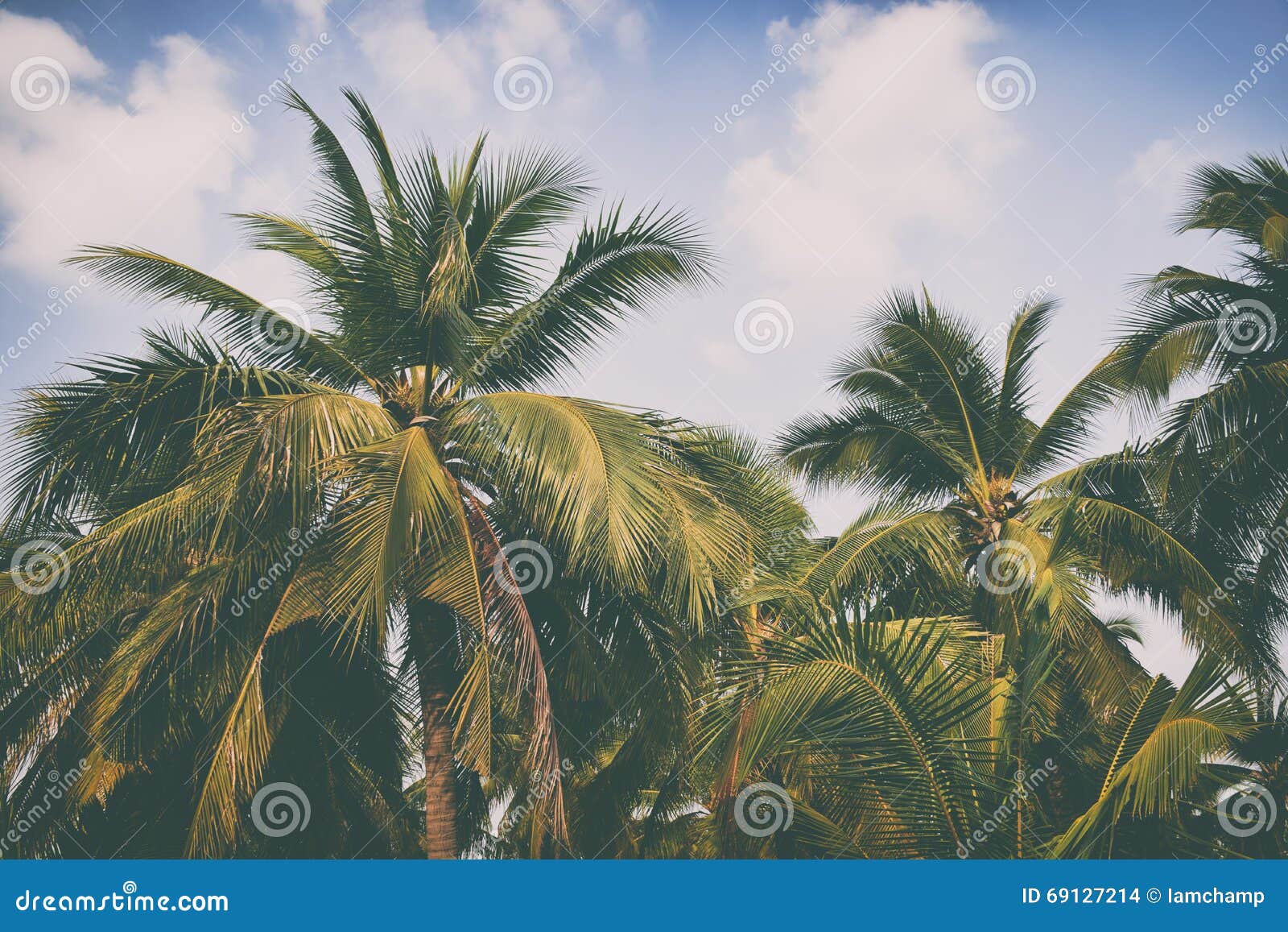 Silhouette Palm Tree in Vintage Filter Background Stock Photo - Image ...