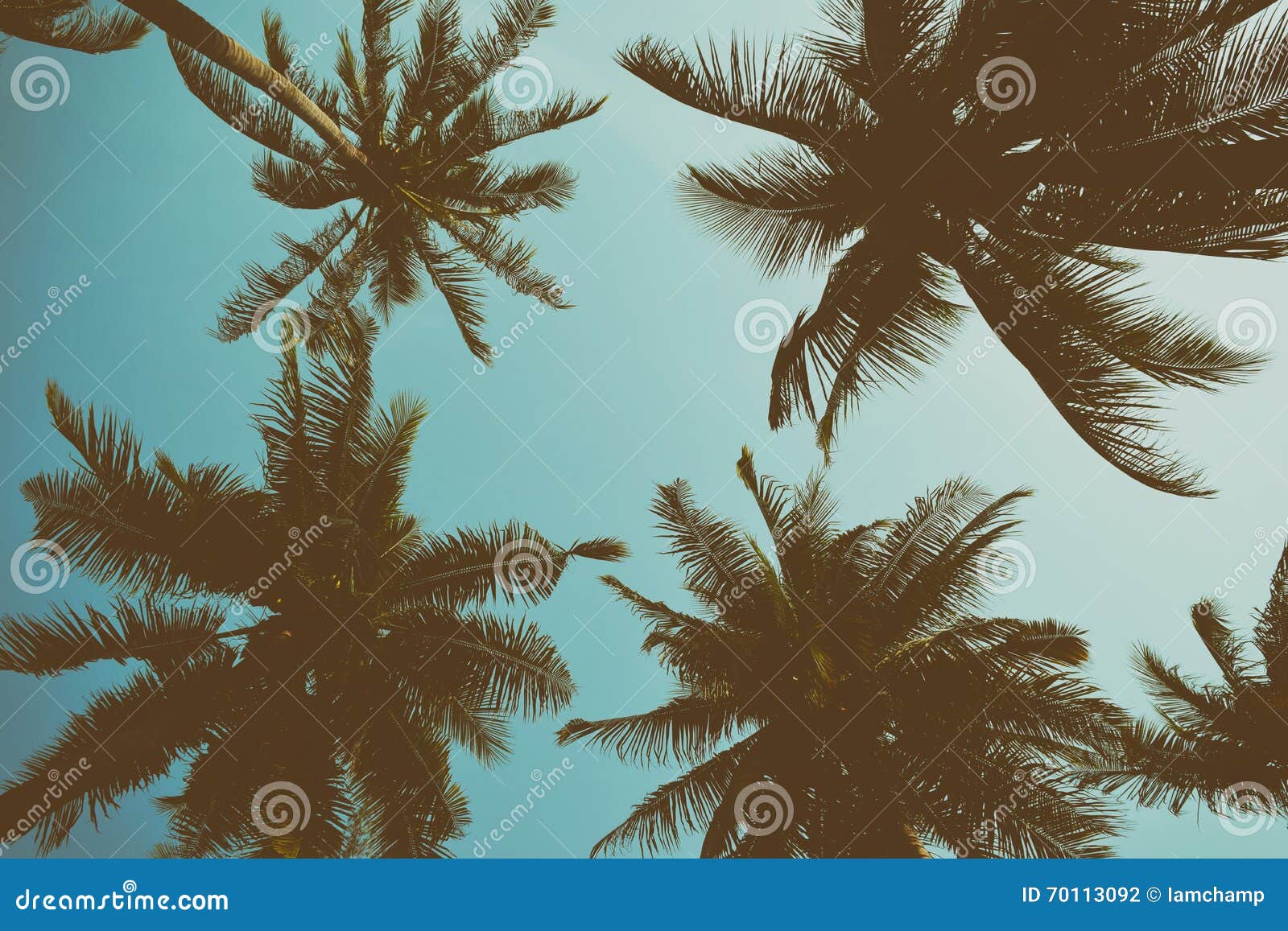 Silhouette Palm Tree With Double Exposure Effect In Vintage Filter ...