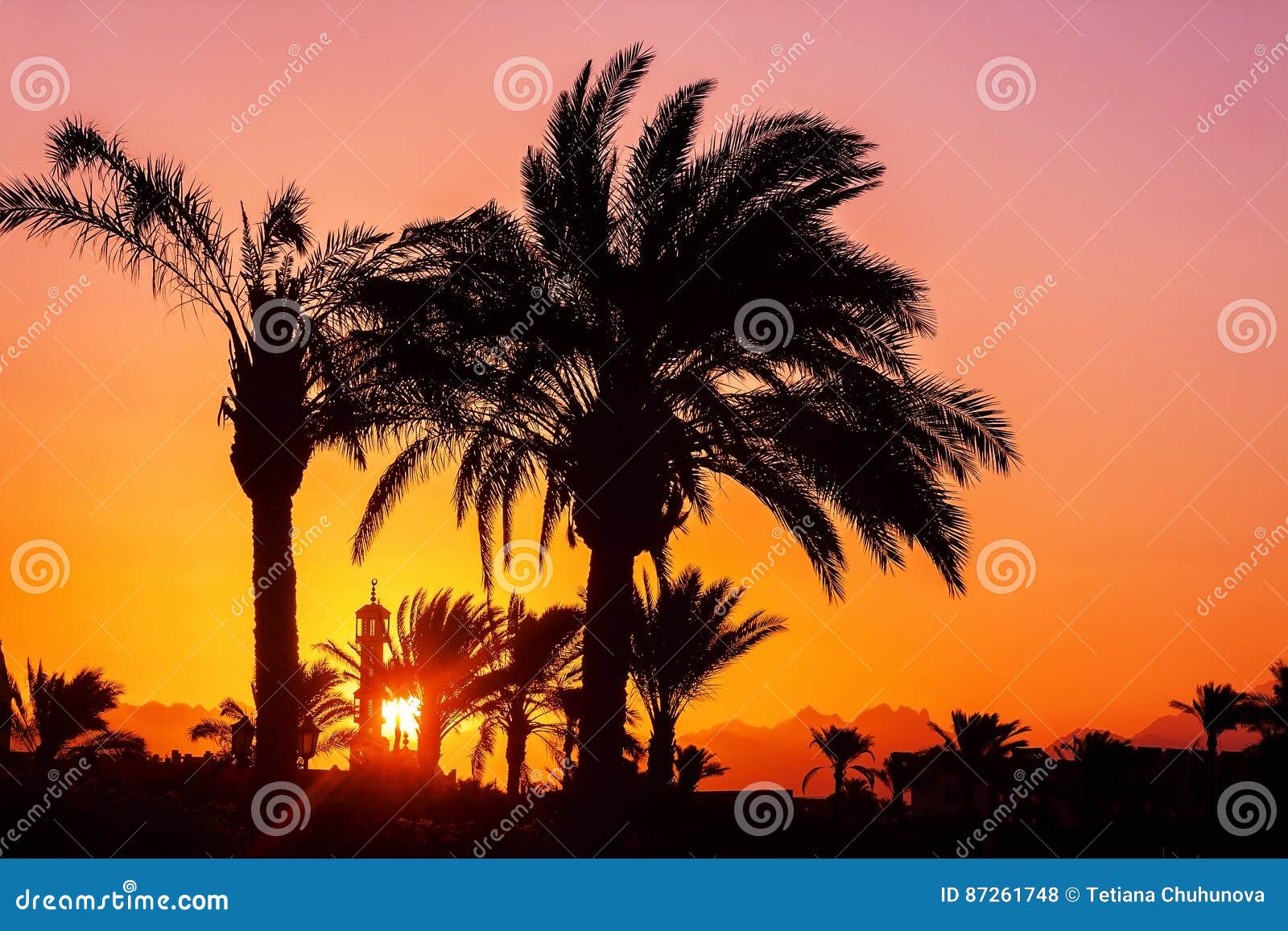 Miami Mosque Stock Photos - Free & Royalty-Free Stock Photos from ...