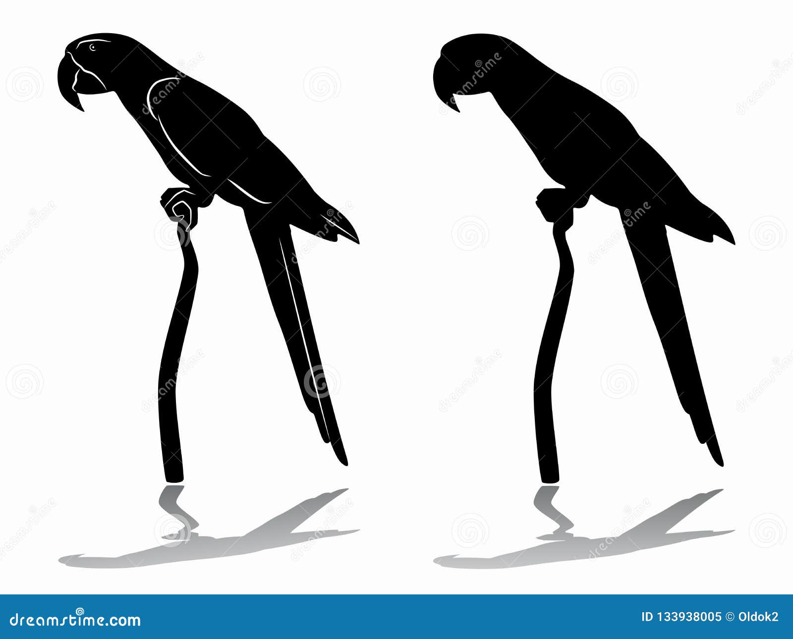 Silhouette Of A Parrot , Vector Drawing | CartoonDealer.com #133938005 Silhouette Of A Parrot , Vector Drawing | CartoonDealer.com #133938005