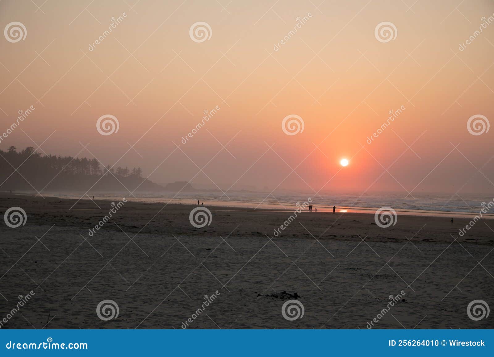 Silhouette of People on a Calm Beach at Sunset Stock Photo - Image of ...