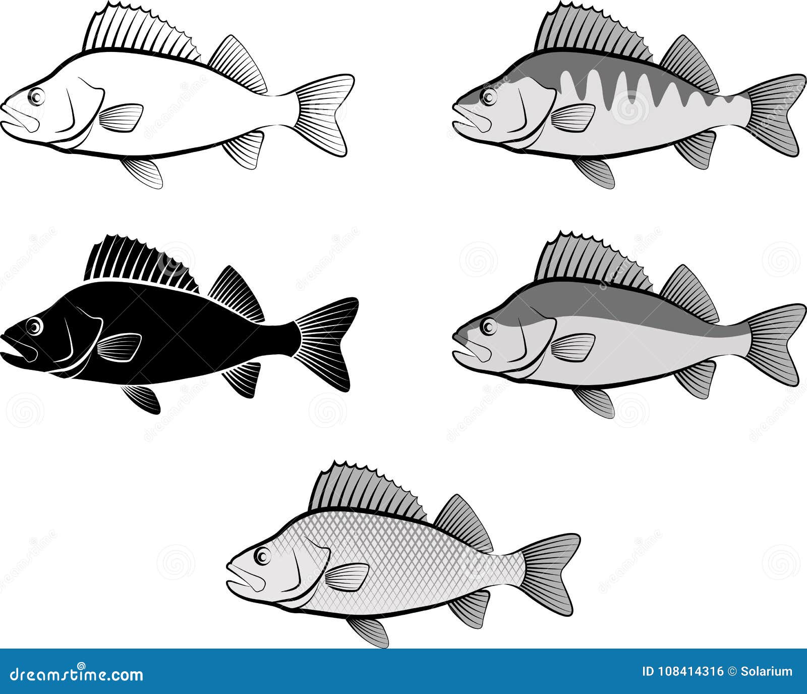 Perch stock vector. Illustration of element, husk, shape - 108414316