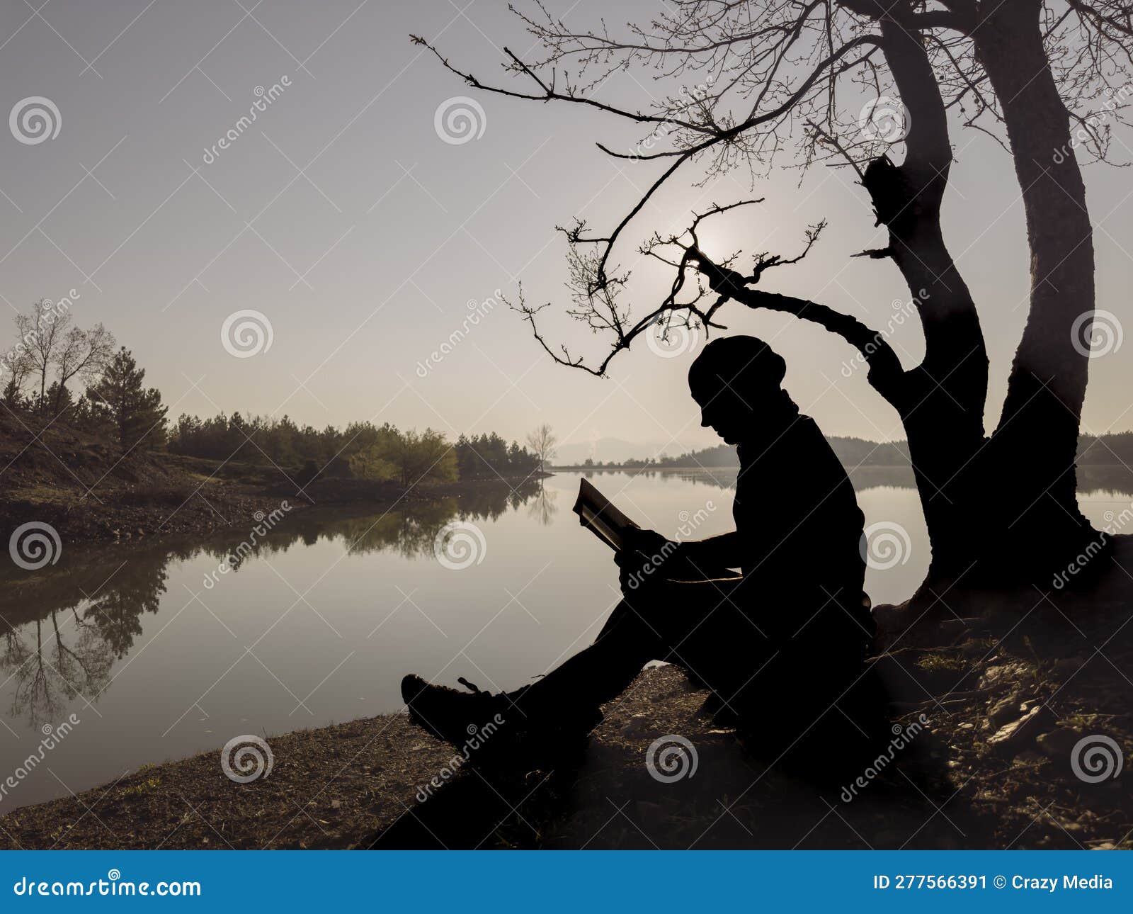 Silhouette of Person Reading Book Under Tree at Sunrise Stock Image ...