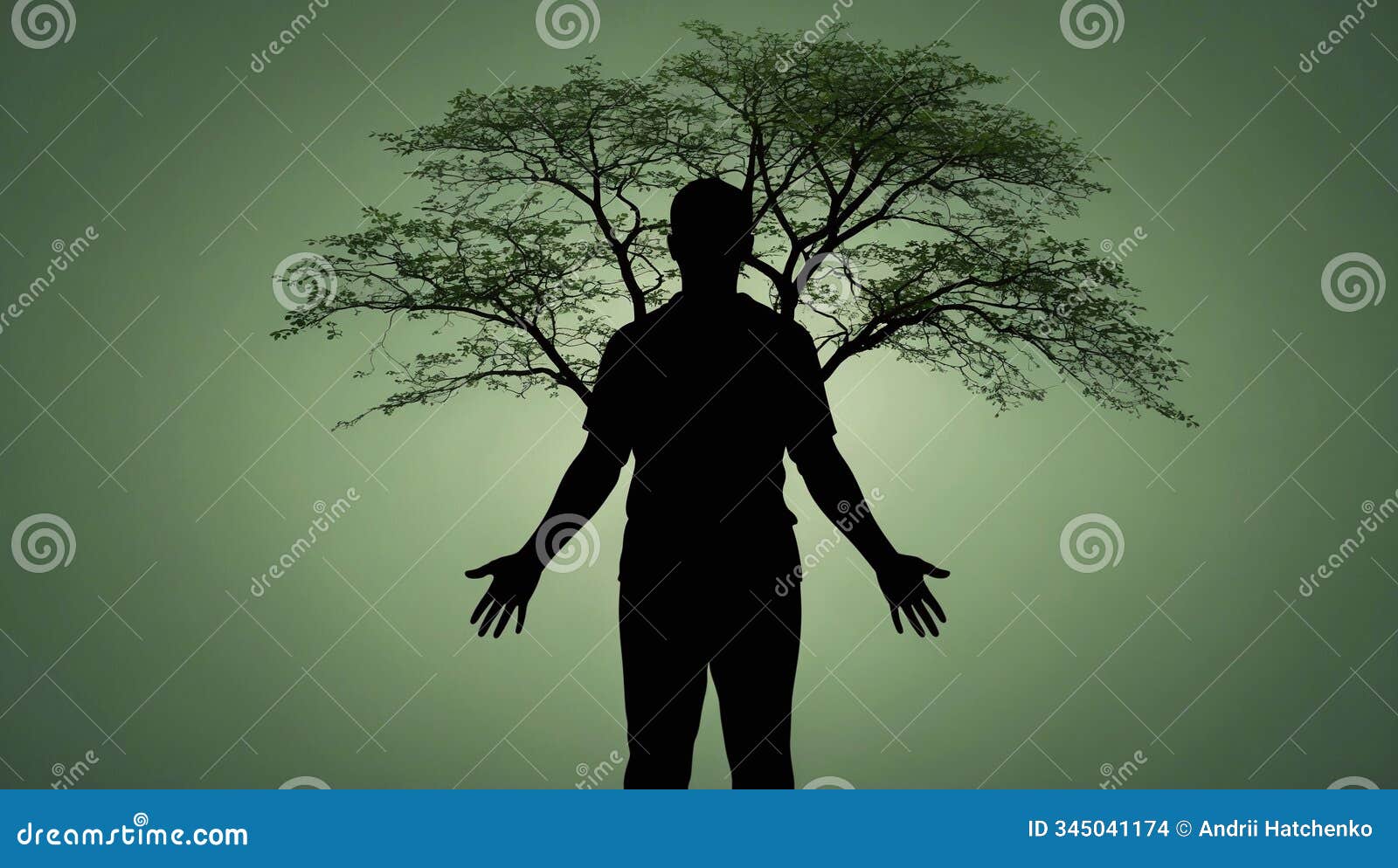 Silhouette of a Person with Tree Branches Representing Personal ...