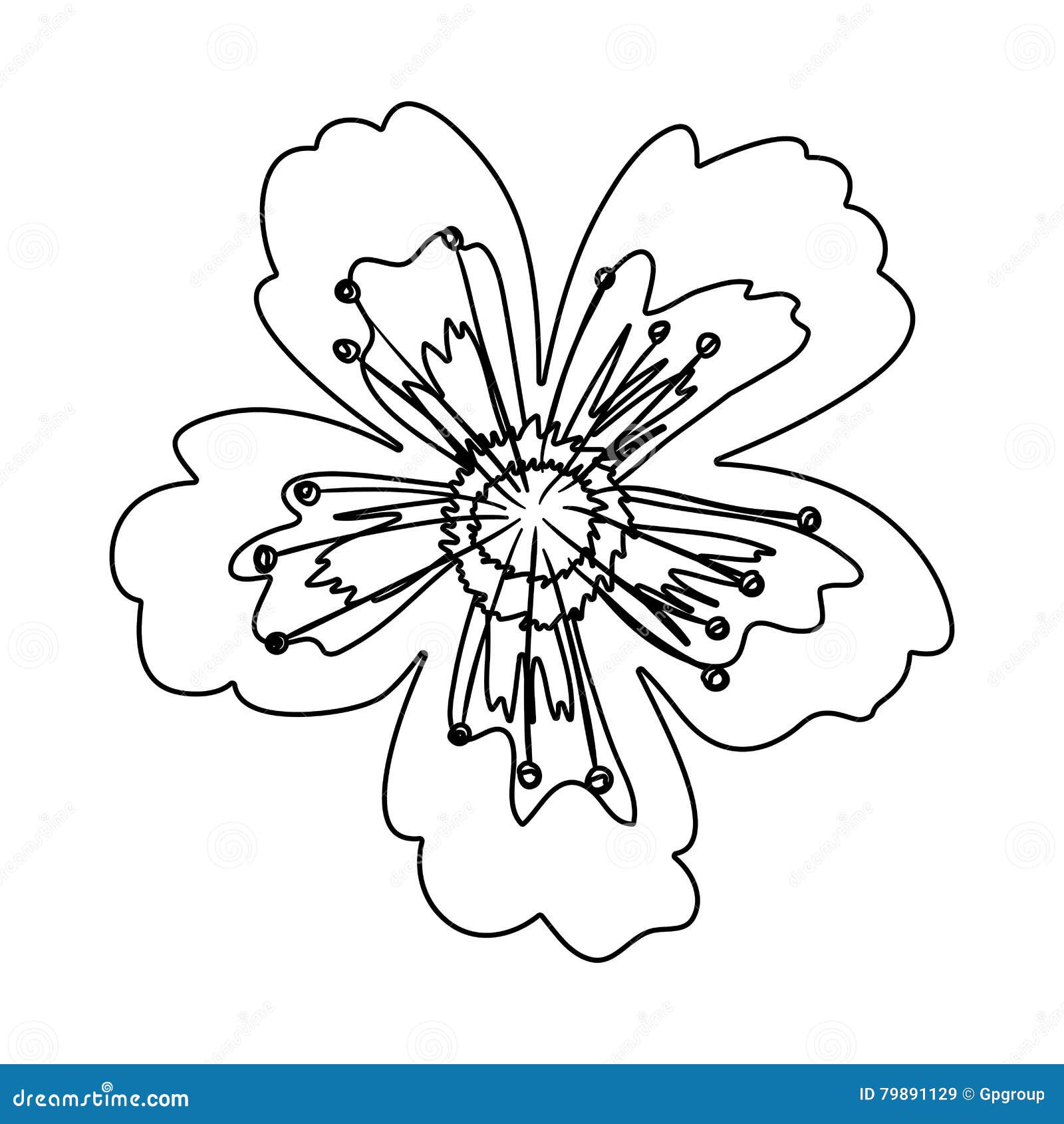 Silhouette Petals Of Flower With Sepal Cartoon Vector | CartoonDealer ...