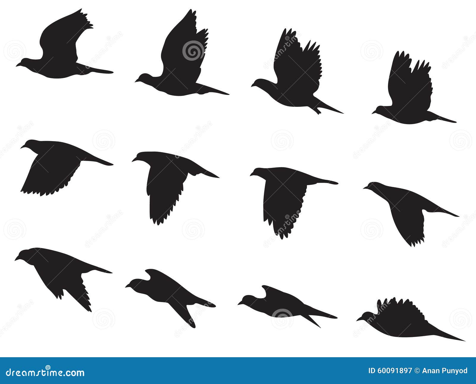 Silhouette Pigeons Bird Flying Motion Vector Set Stock Vector ...