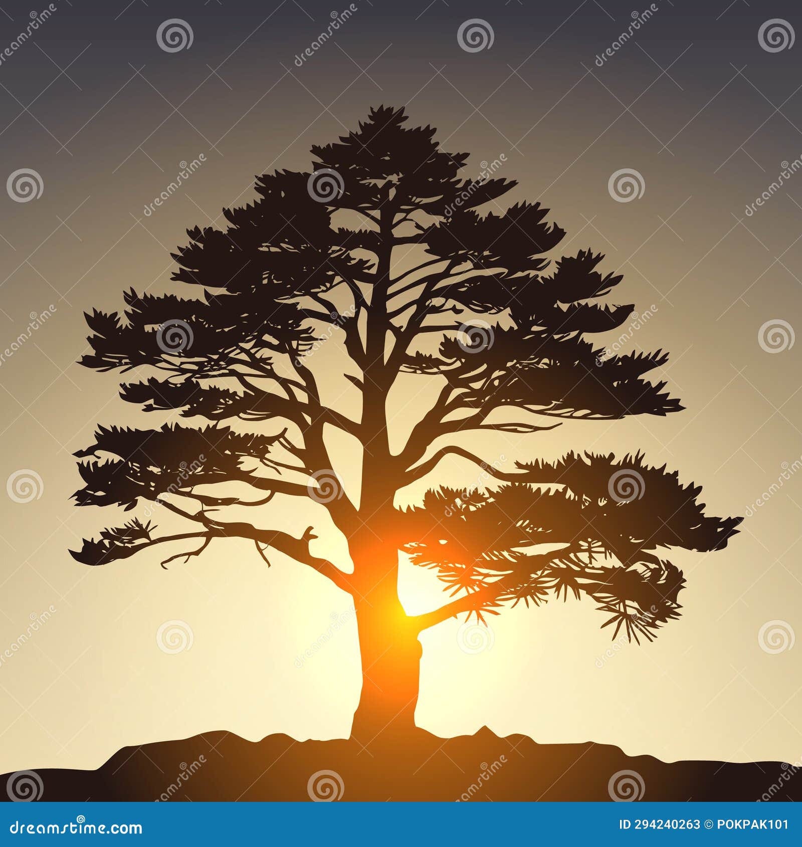 Silhouette of a Pine Tree at Sunset. Vector Illustration Stock Vector ...