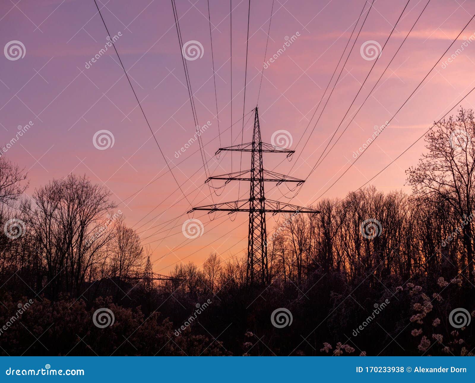 Silhouette of Poles and Power Lines in the Sunset Stock Photo - Image ...