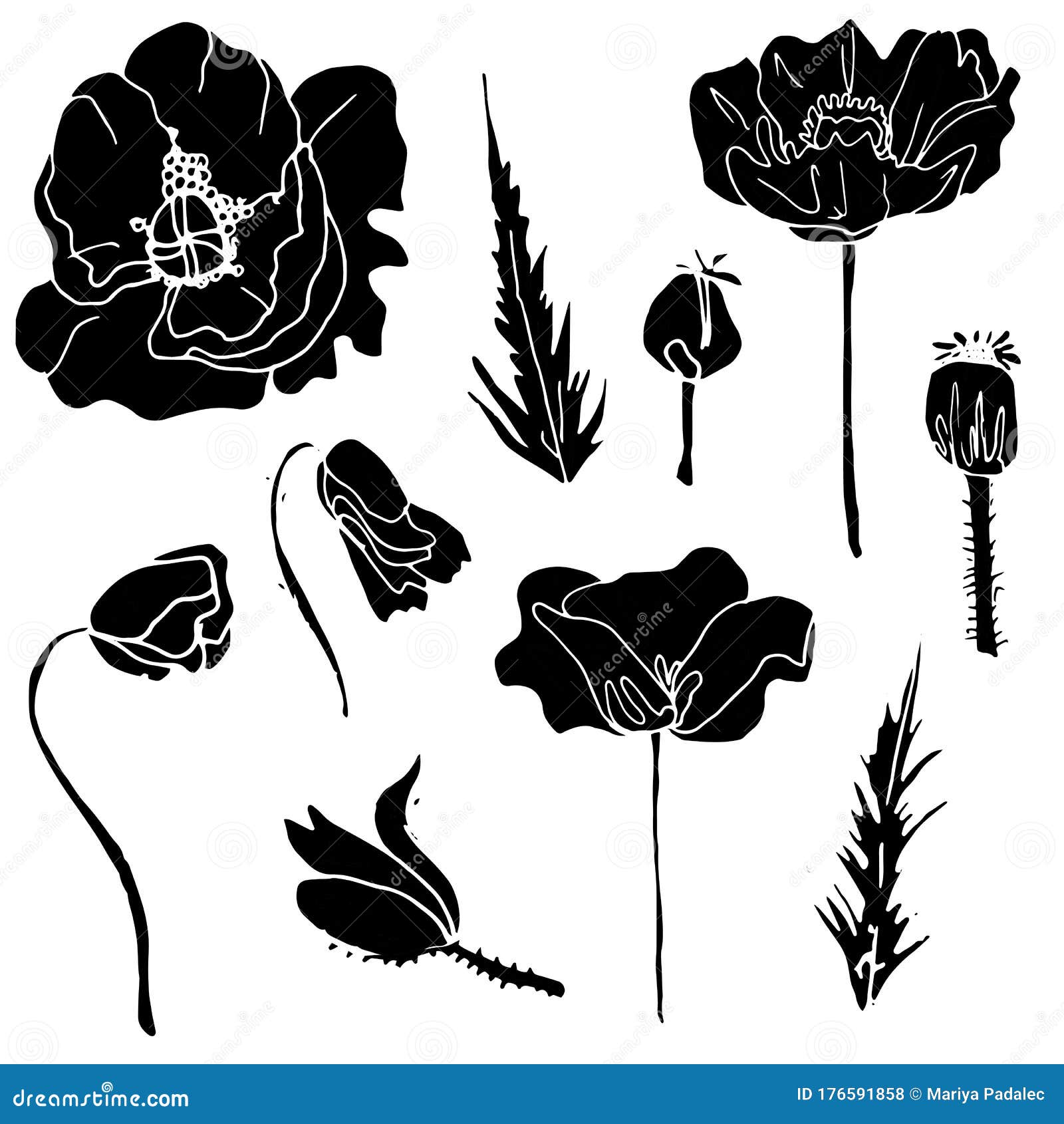 Silhouette of a Poppies on a White Background. Collection of Logos ...