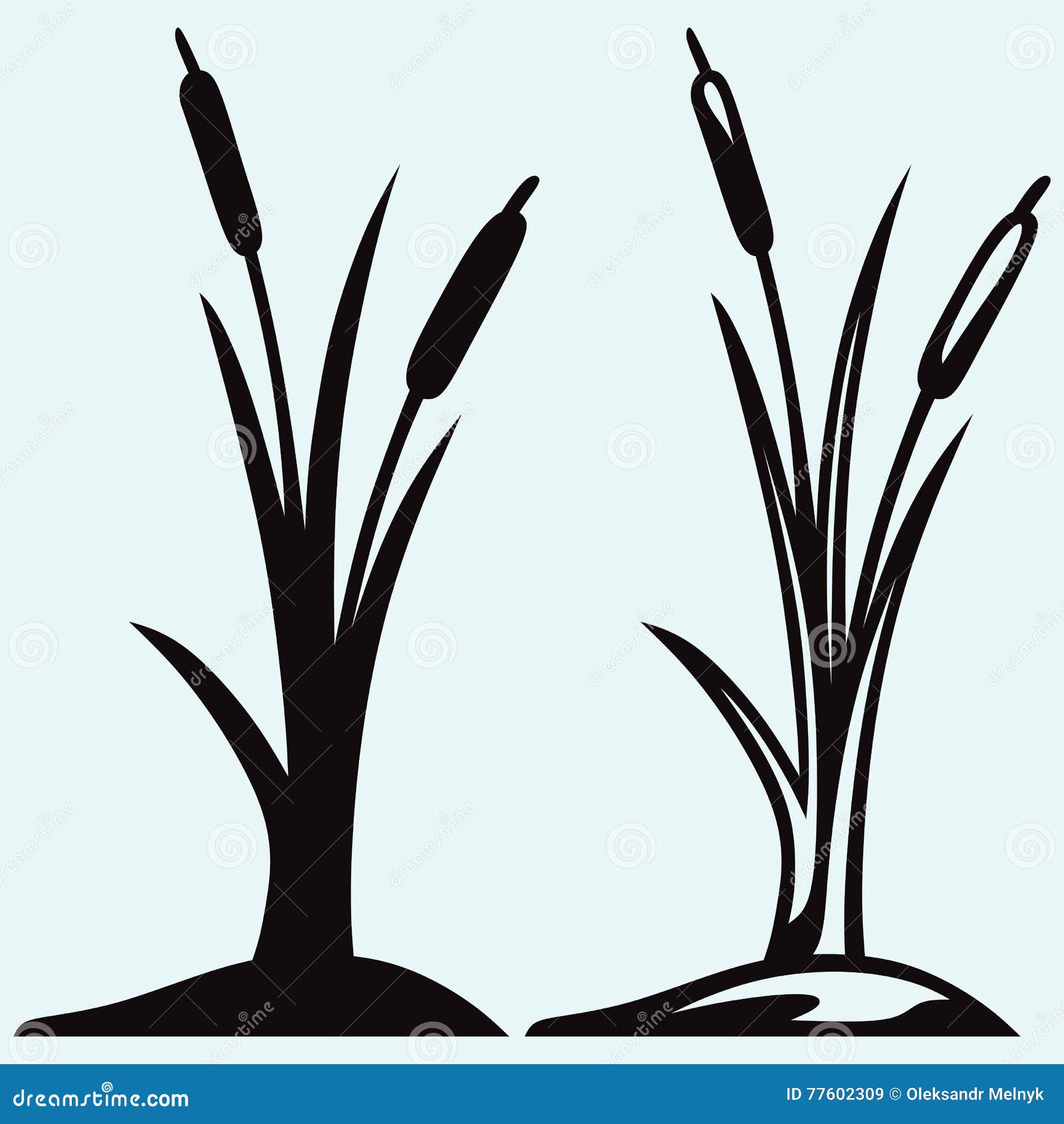 Silhouette reed stock vector. Illustration of cutout - 77602309