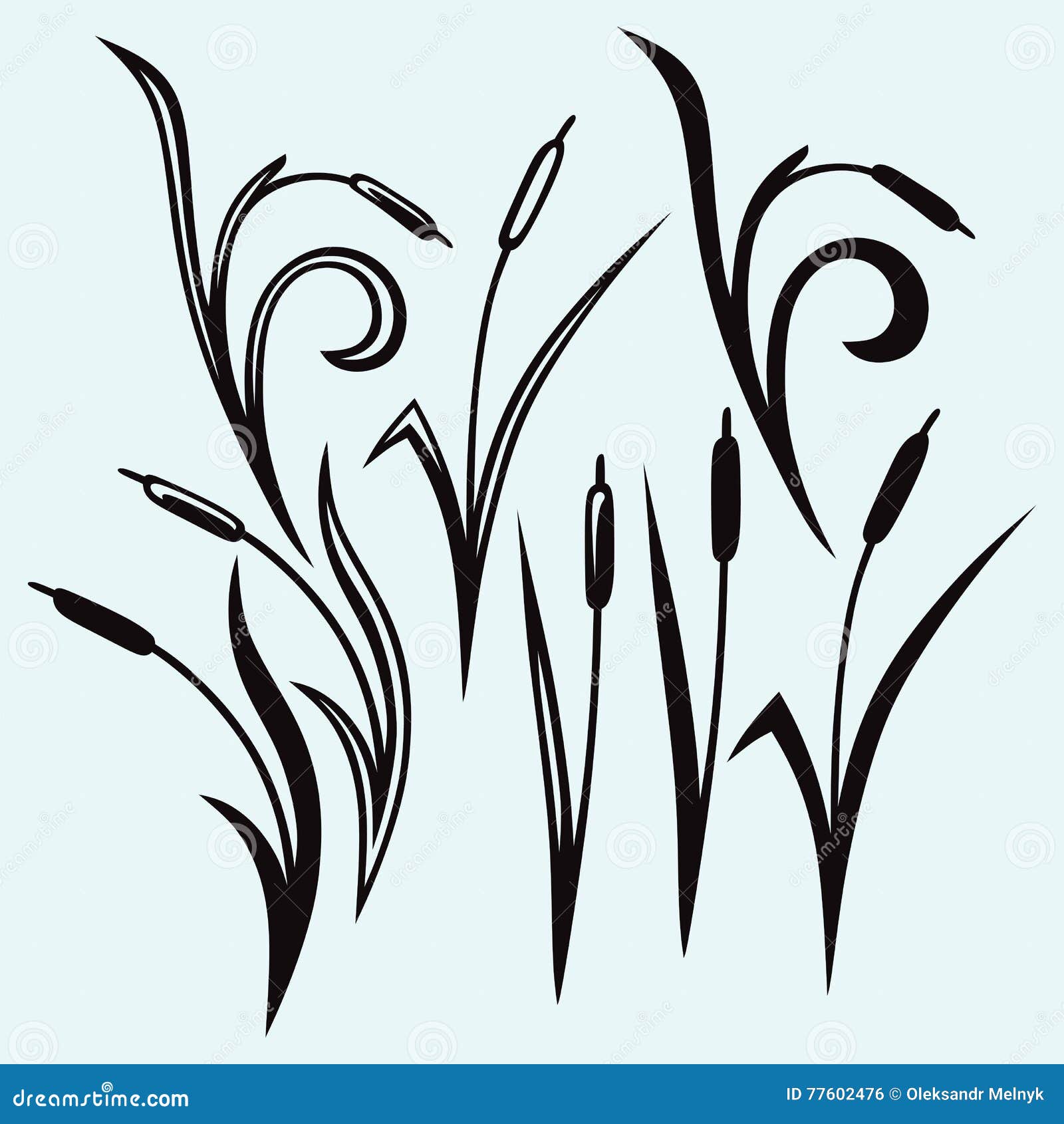 Silhouette reed stock vector. Illustration of outline - 77602476