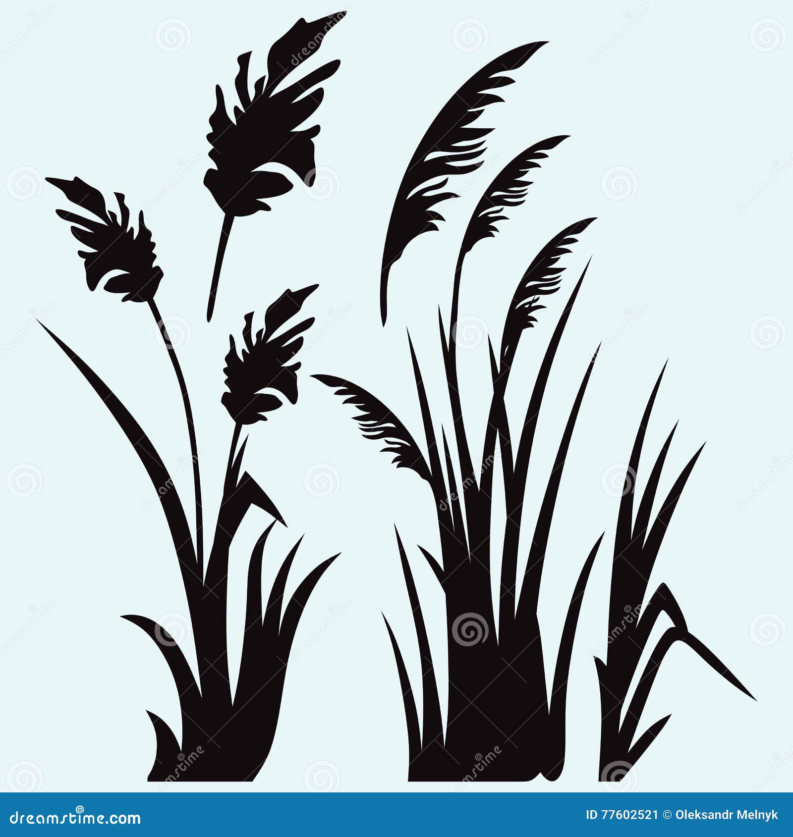 Silhouette reed stock vector. Illustration of foliage - 77602521