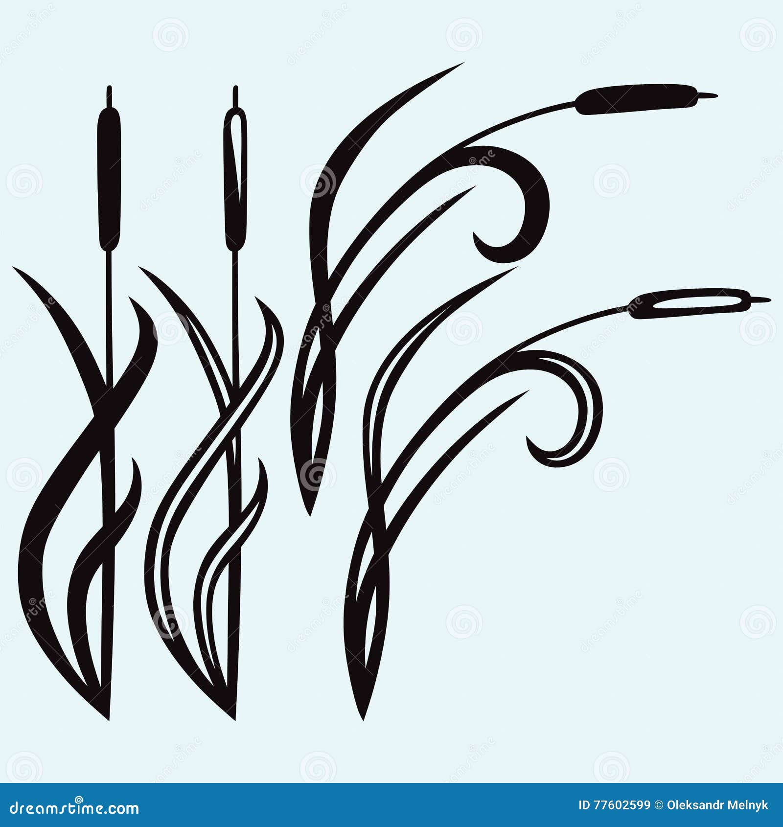 Silhouette reed stock vector. Illustration of clip, background - 77602599