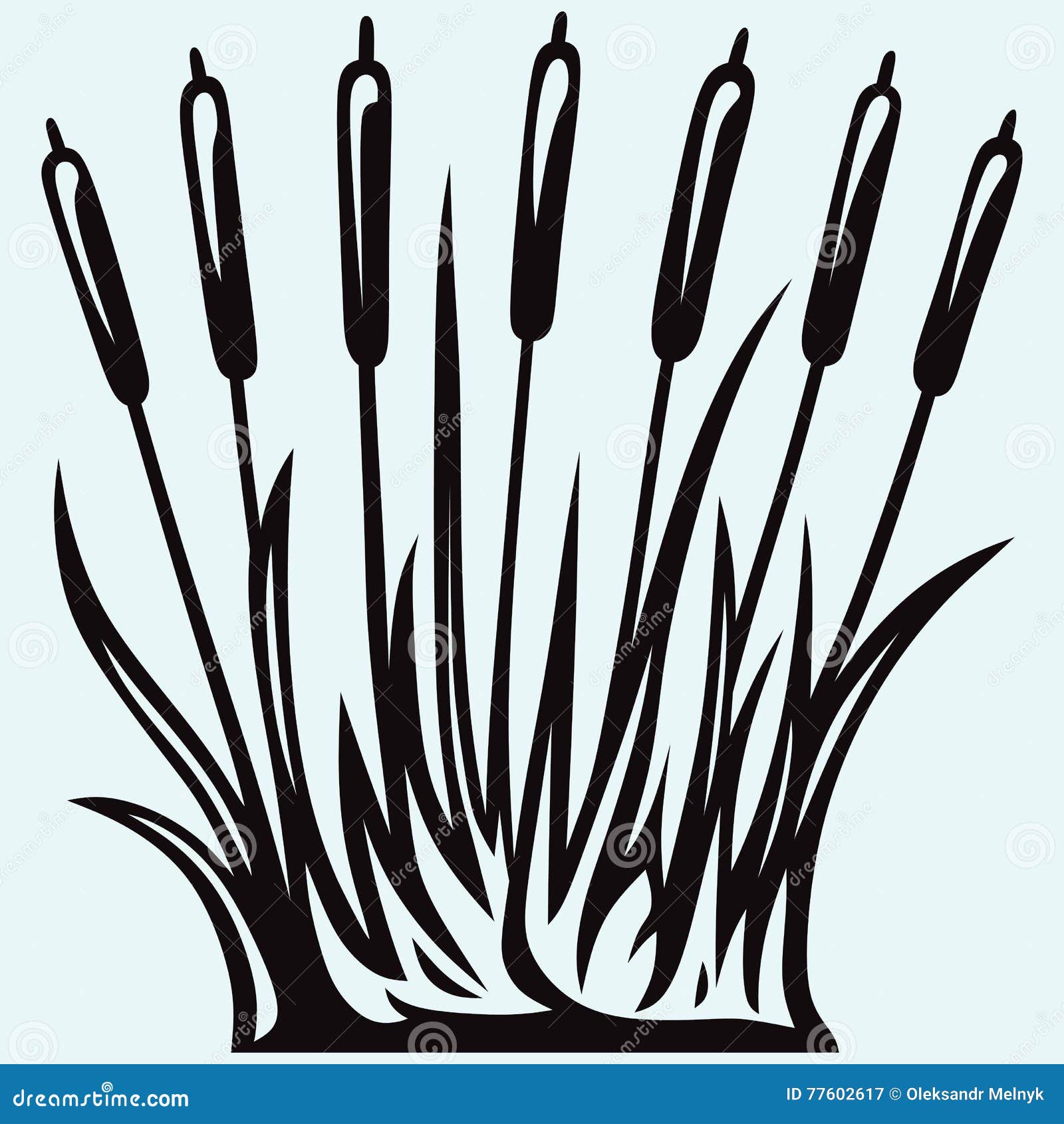 Silhouette reed stock vector. Illustration of black, area - 77602617