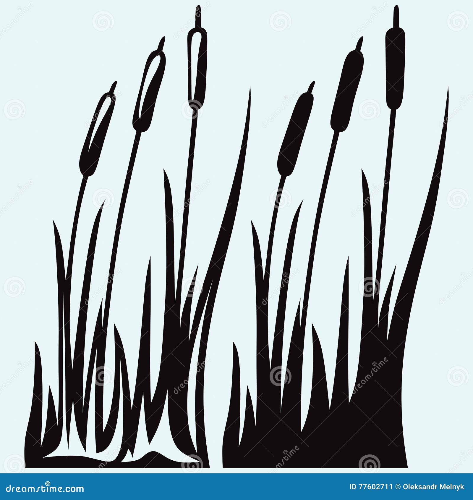 Silhouette reed stock vector. Illustration of foliage - 77602711