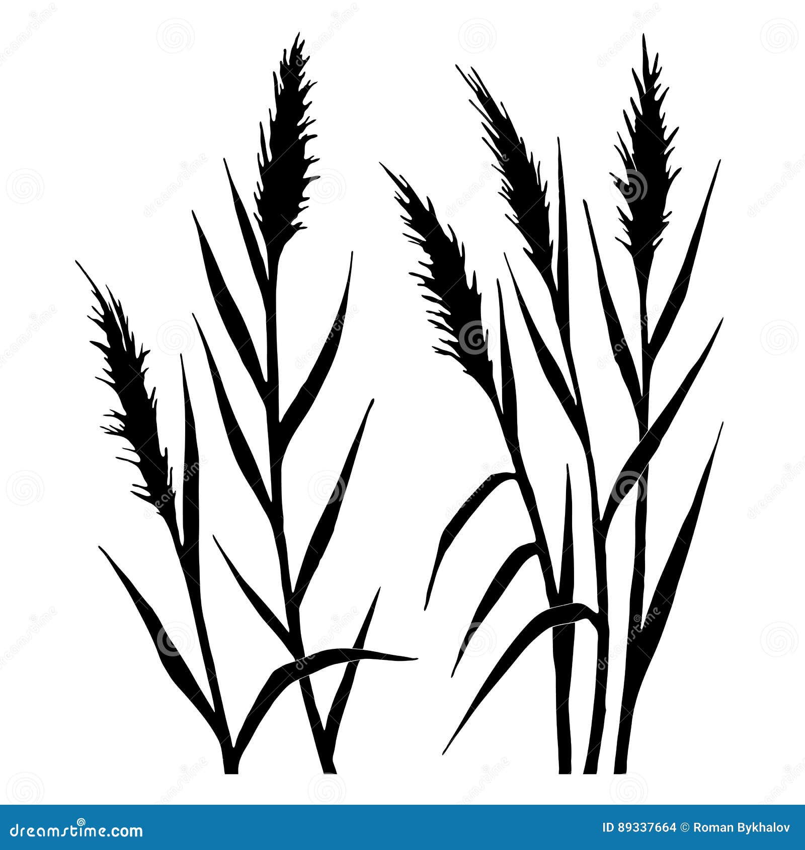 Silhouette of the reed stock vector. Illustration of growth - 89337664