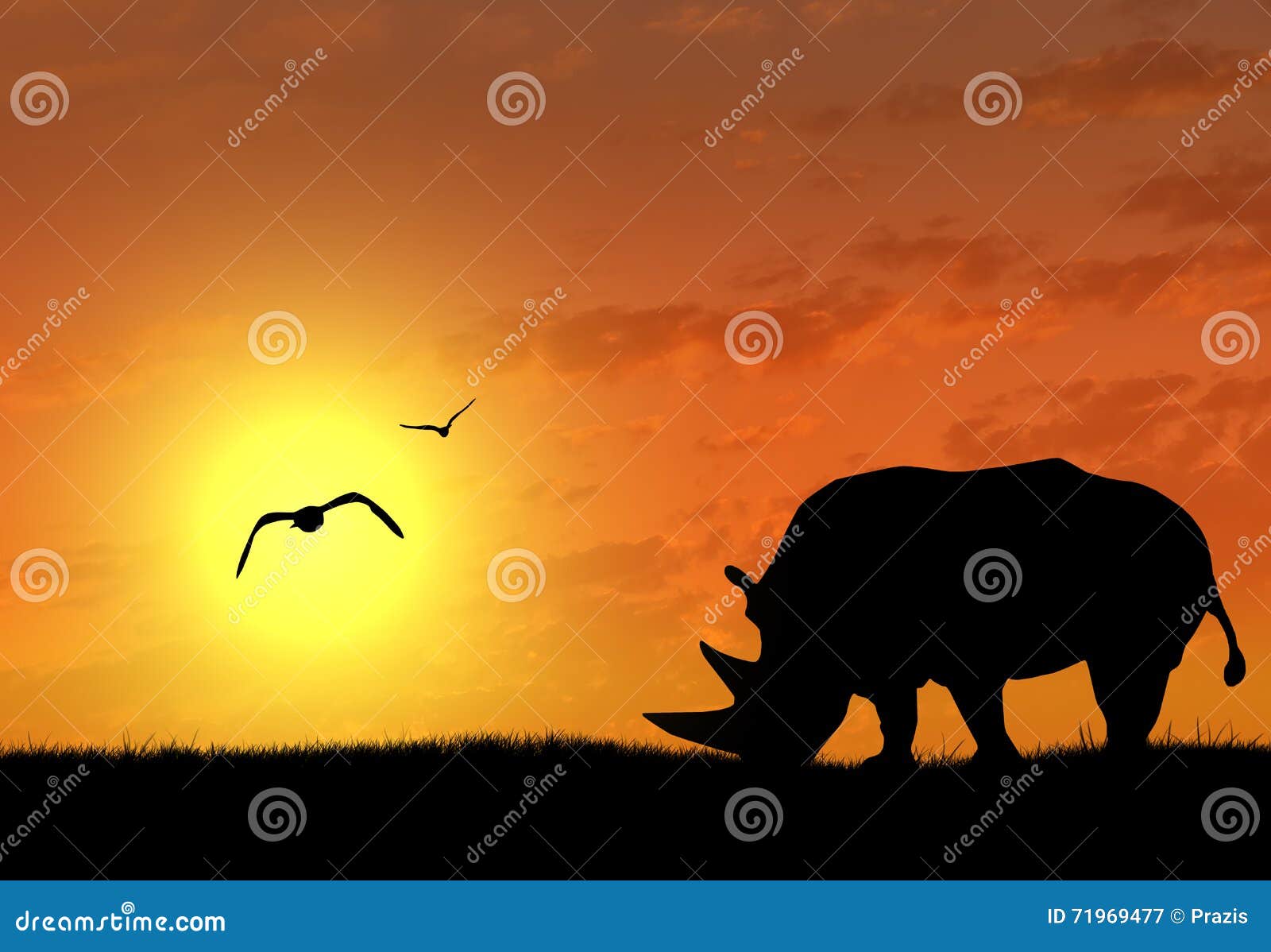 Silhouette of Rhino at Sunset Stock Image - Image of park, africa: 71969477
