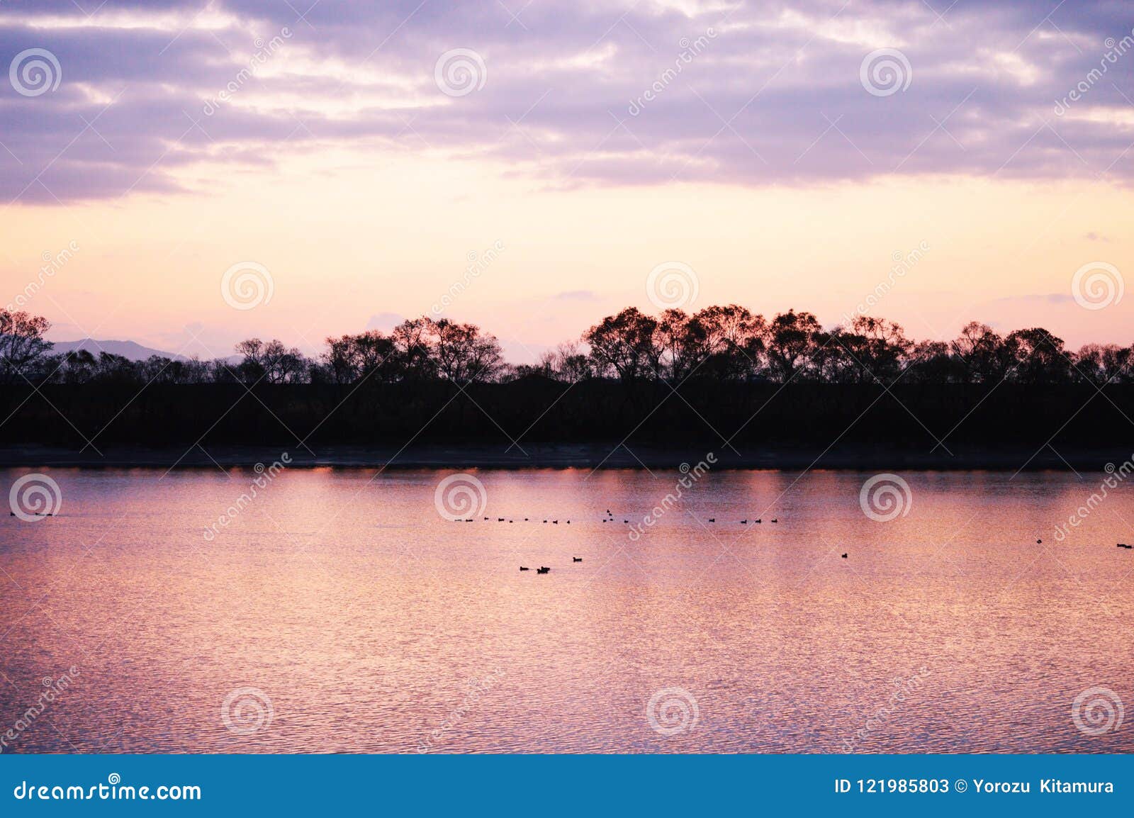 Silhouette of a river stock image. Image of kanagawa - 121985803