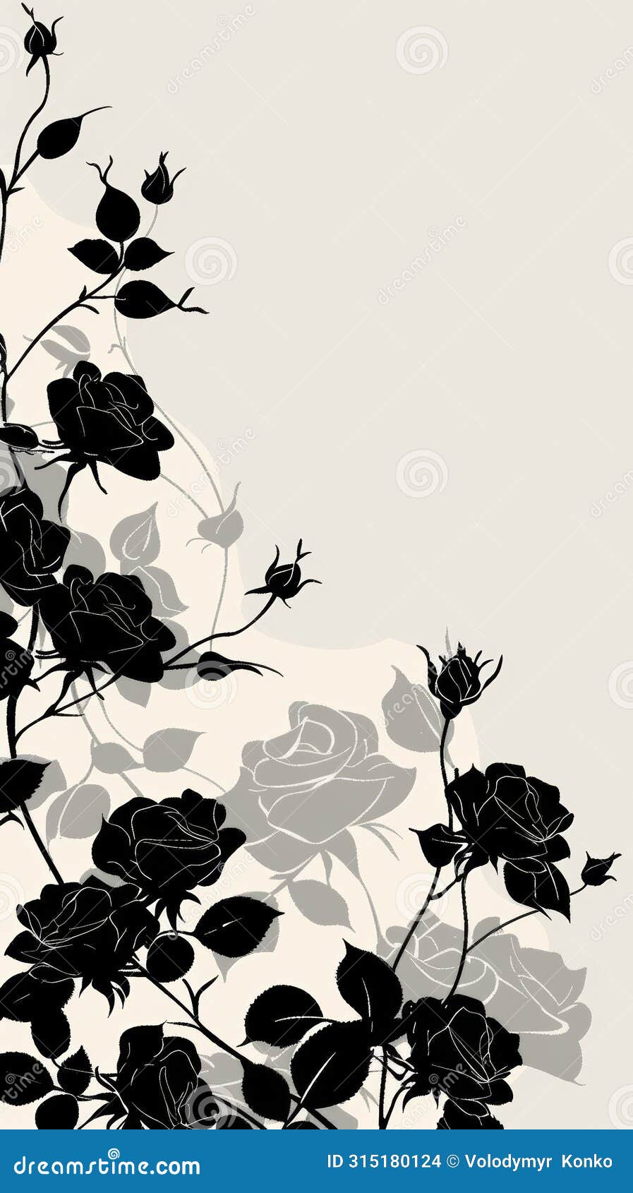 Silhouette of Roses with Shadows on a Light Background Stock Photo ...