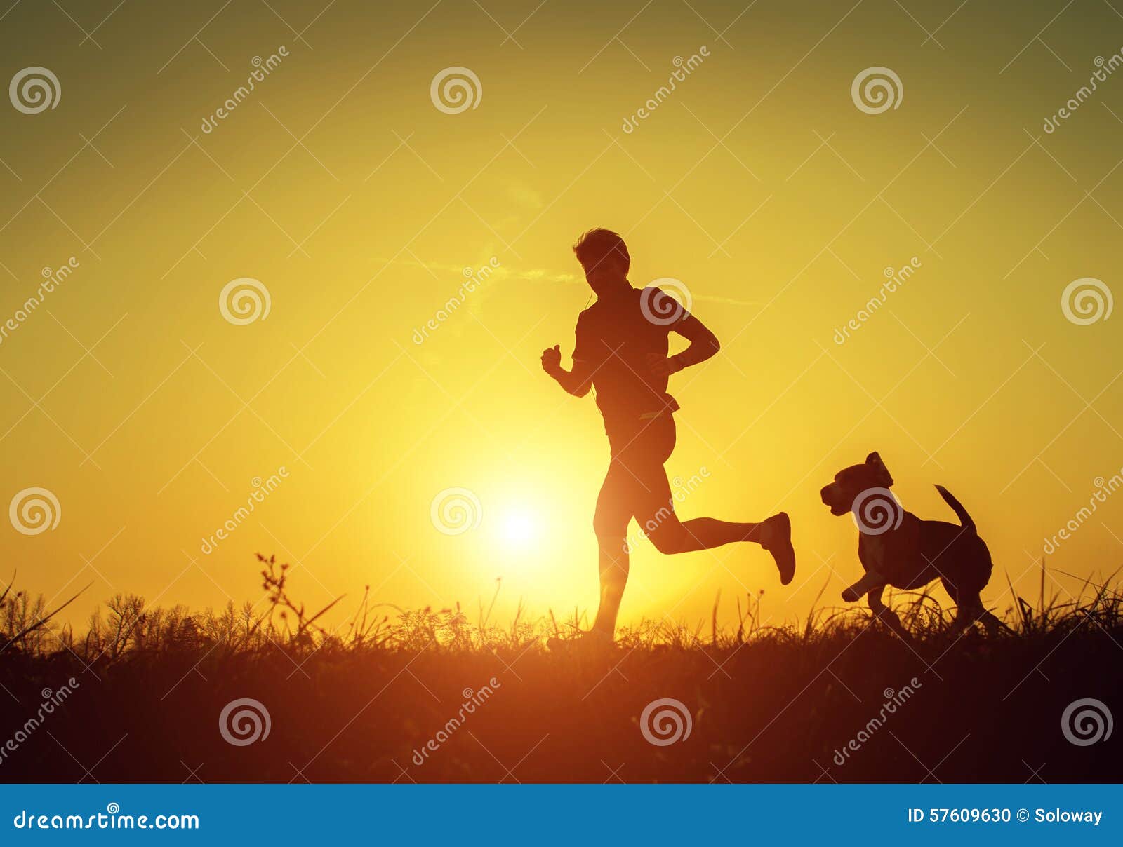 Silhouette of Runner with Dog in Sunset Rise Stock Photo - Image of ...
